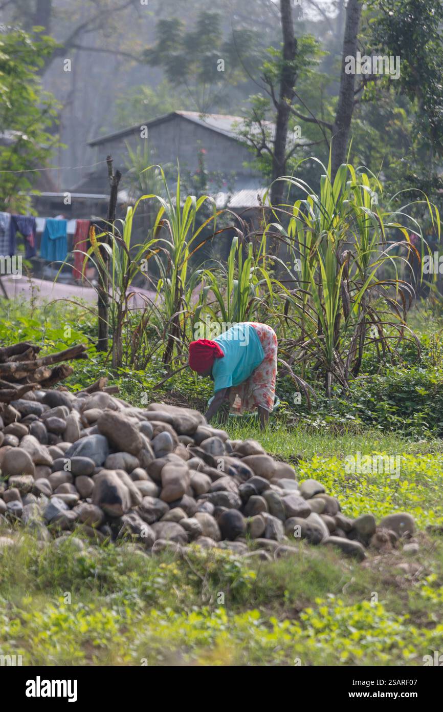 A tribal Taru woman in her village in the Tarai region of Nepal Stock ...