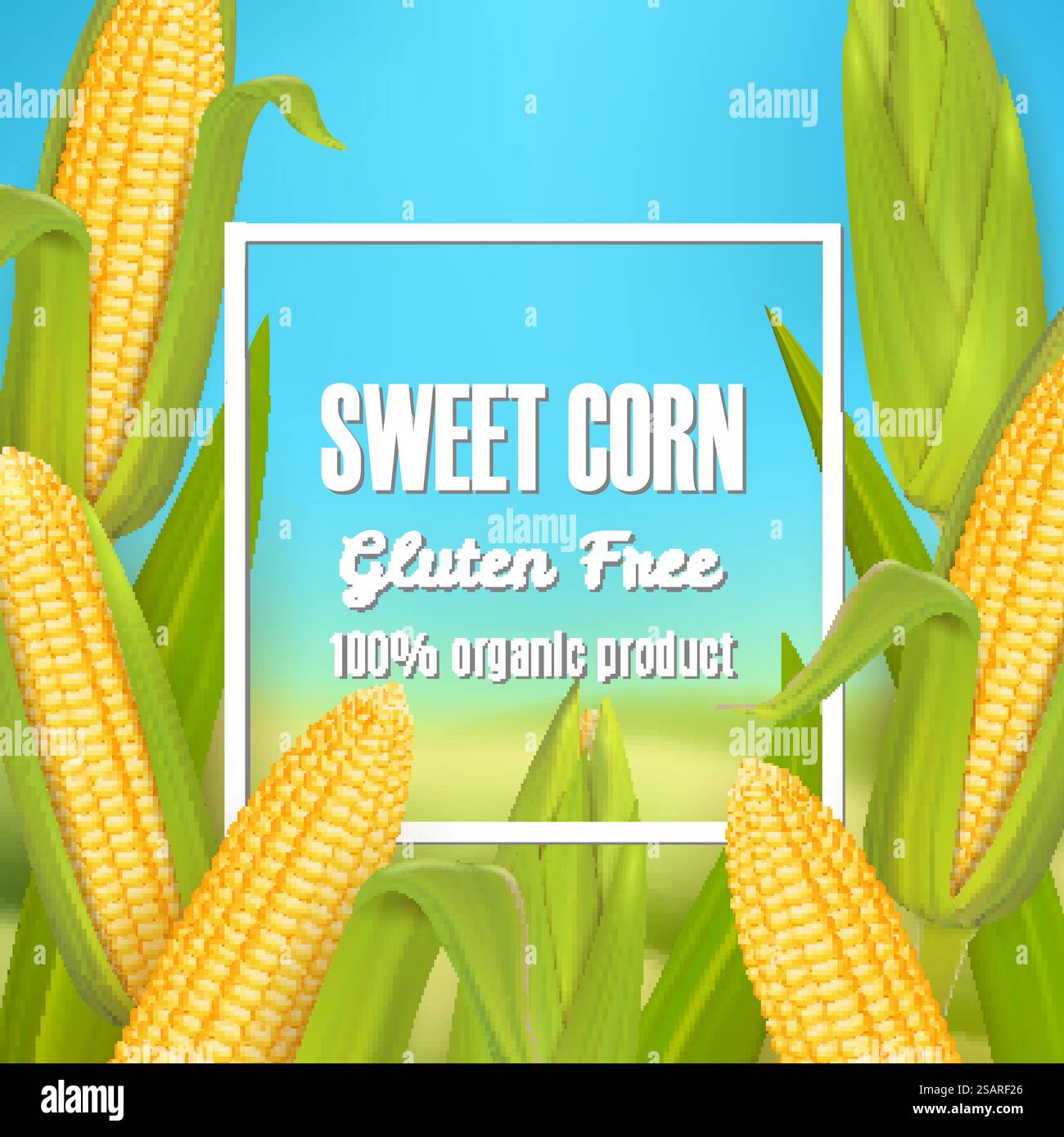 Sweet corn gluten free organic product vector poster, label, sticker ...