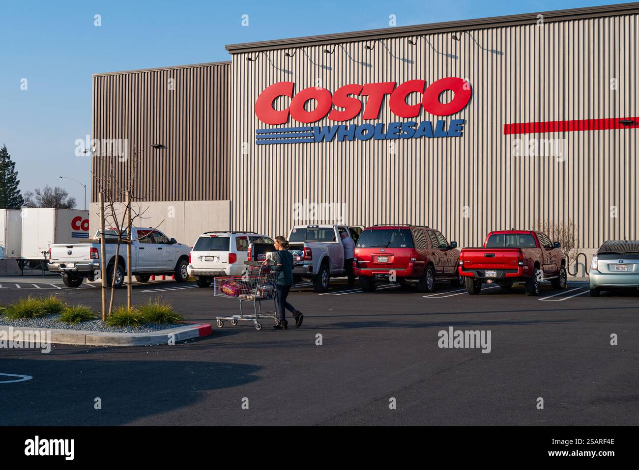 A shopper pushes a cart in the Costco parking lot. Costco is one of ...