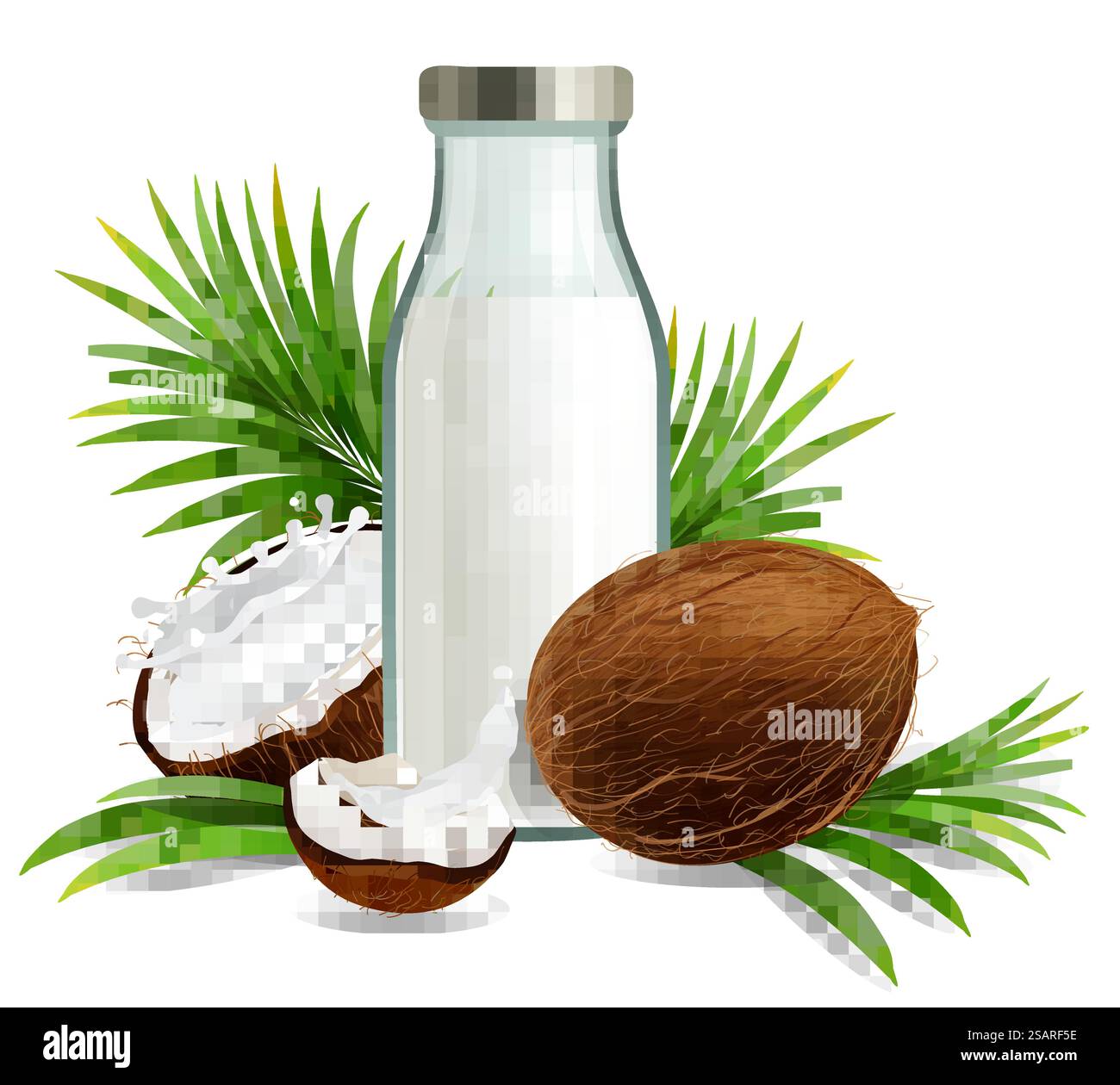 Coconut milk vector illustration. Realistic composition of milk bottle ...