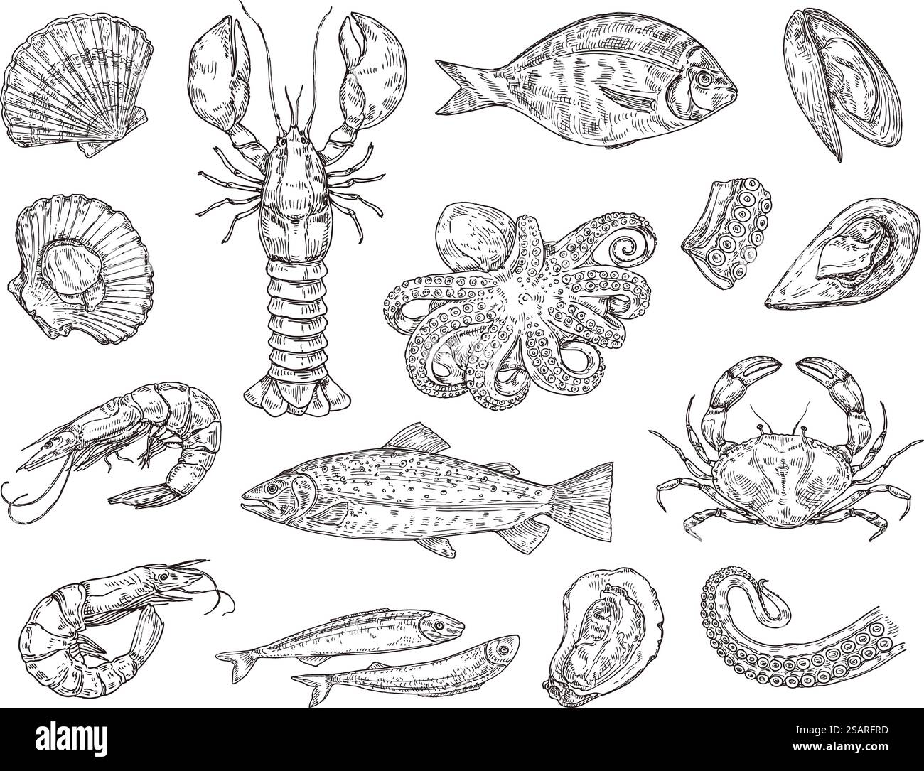 Hand drawn seafood. Hand drawn crab, shrimp and octopus. Sea scallops ...