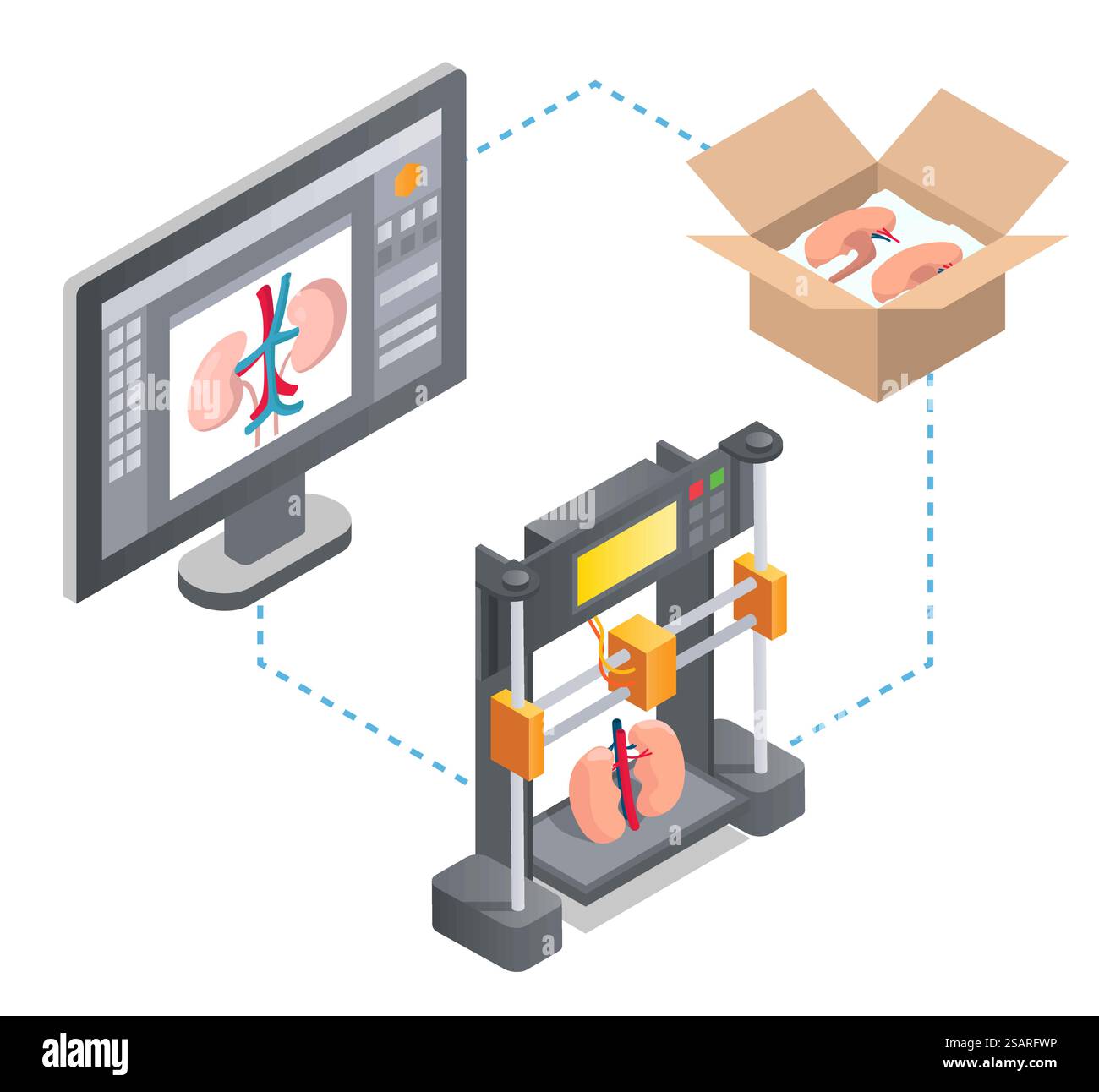 3d bioprinting process of human organs, vector flat illustration ...