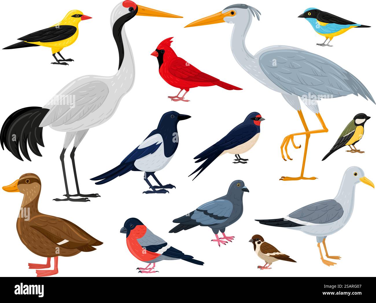 Cartoon flying birds, crane, red cardinal duck and seagull. City, woods ...
