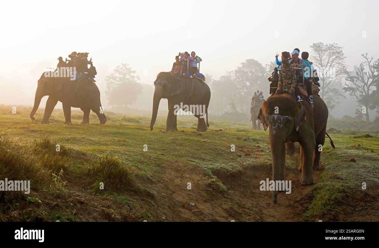 Crossing the Narayani river on elephant back in Chitwan National Park ...