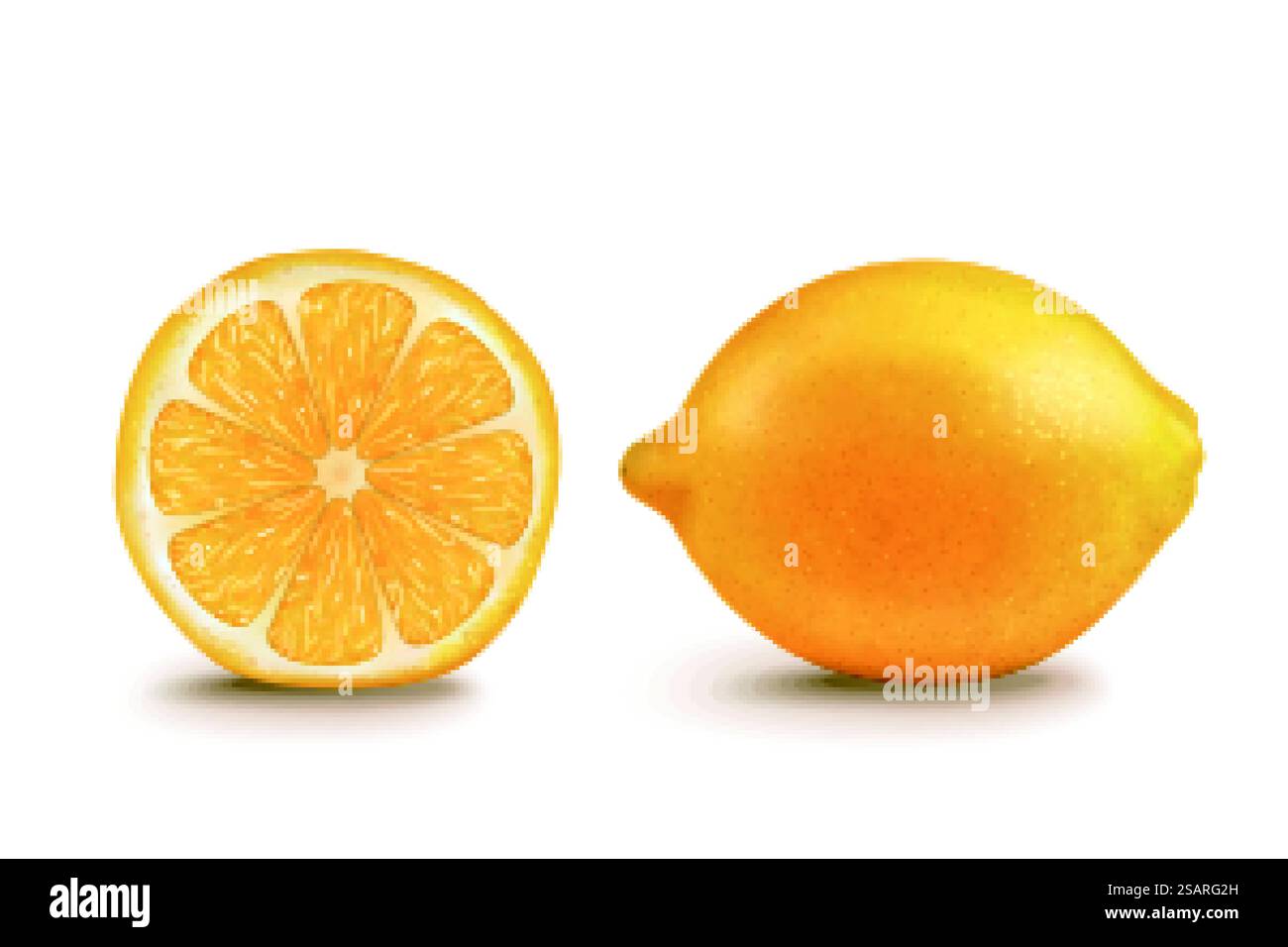 Fresh yellow lemon slice Stock Vector Images - Alamy