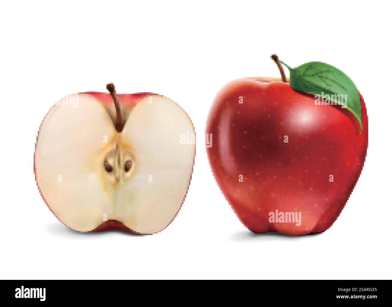 All half Stock Vector Images - Alamy