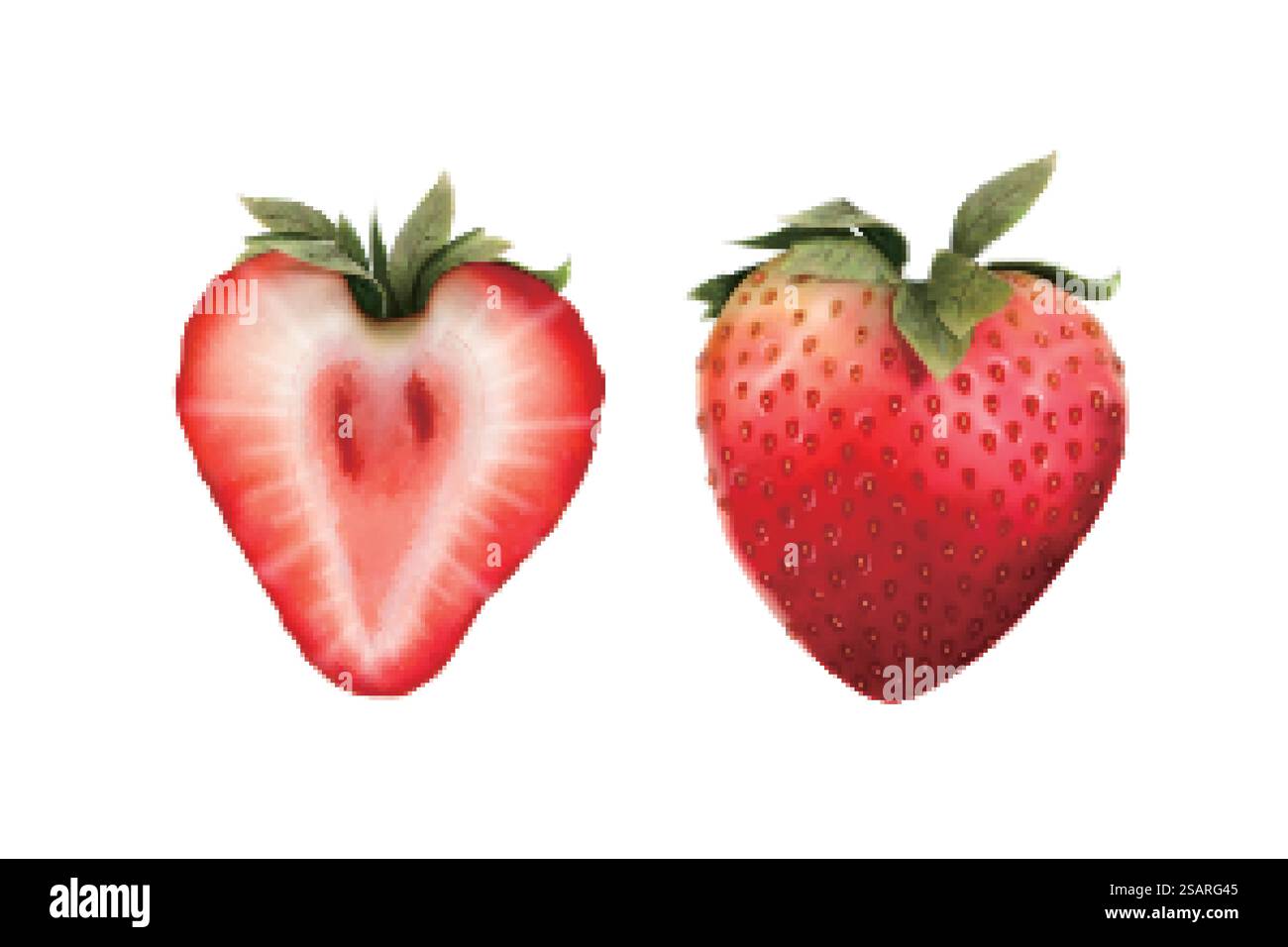 Sweet whole and half strawberry Stock Vector Image & Art - Alamy