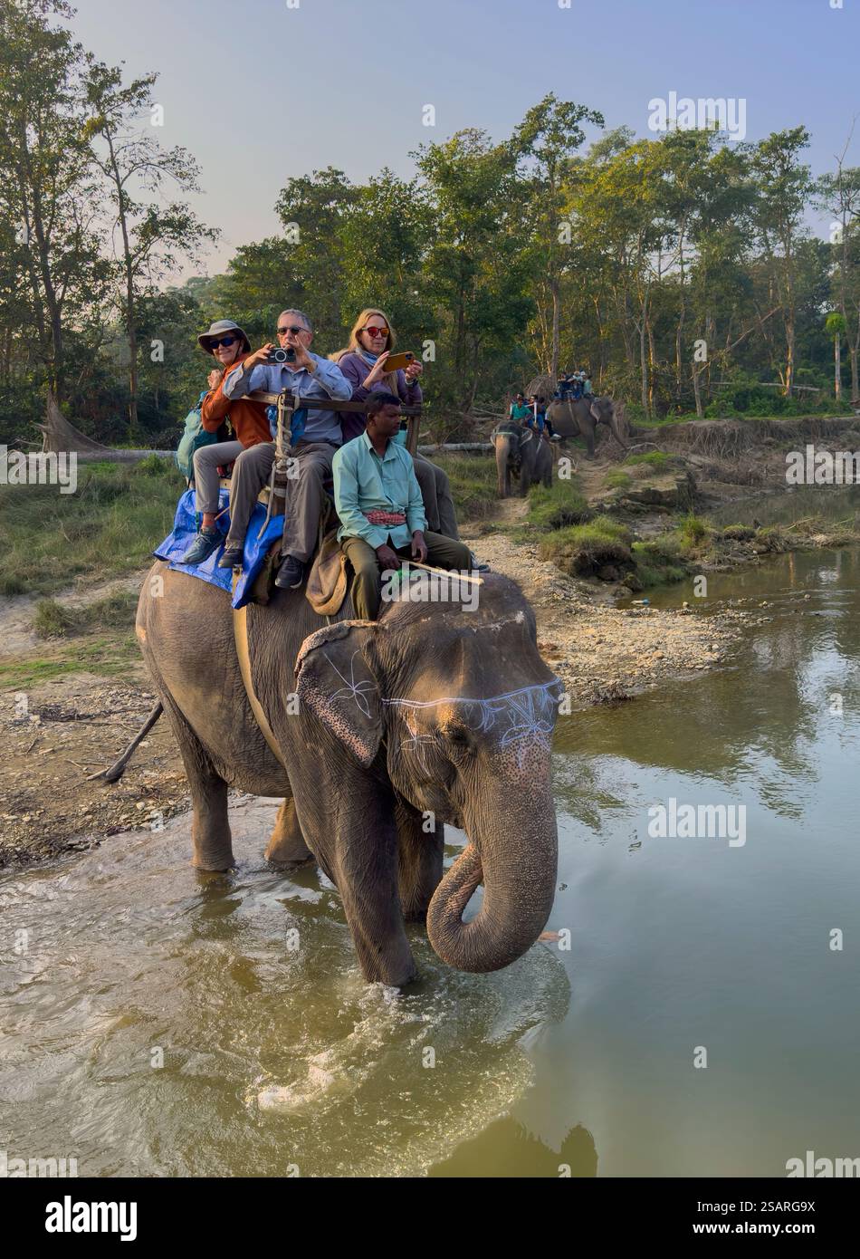 Riding elephants across the Narayani River in Chitwan National Park , a ...