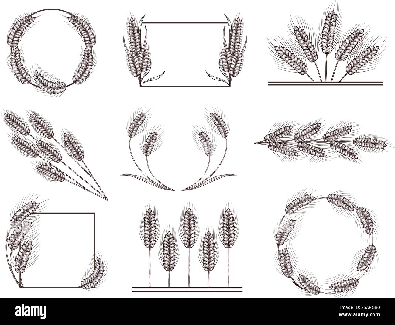 Hand drawn wheat decor. Ear of wheat frame, harvest border and divider ...