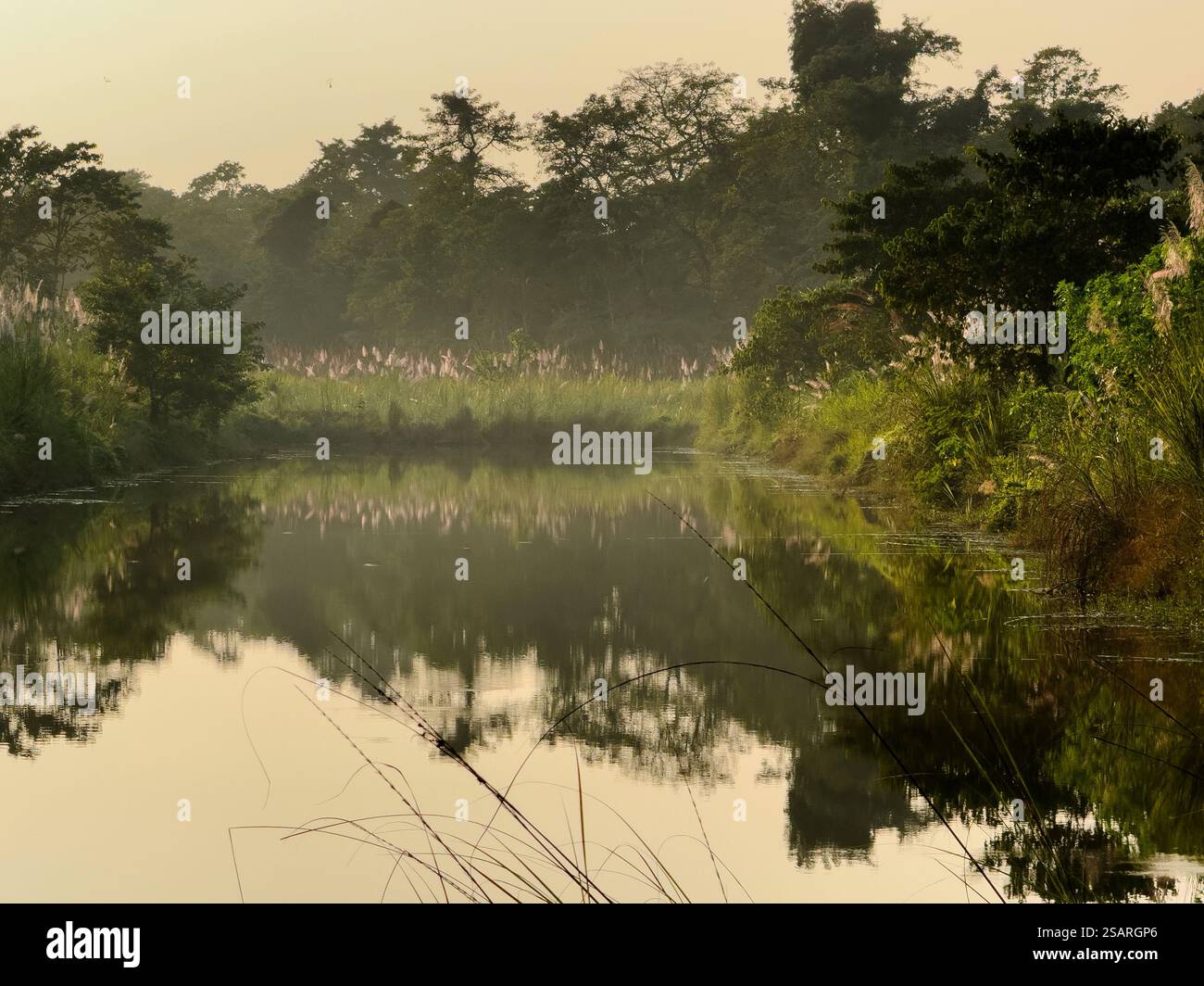 The Rapti River in Chitwan National Park is home to the Asian Rhino ...