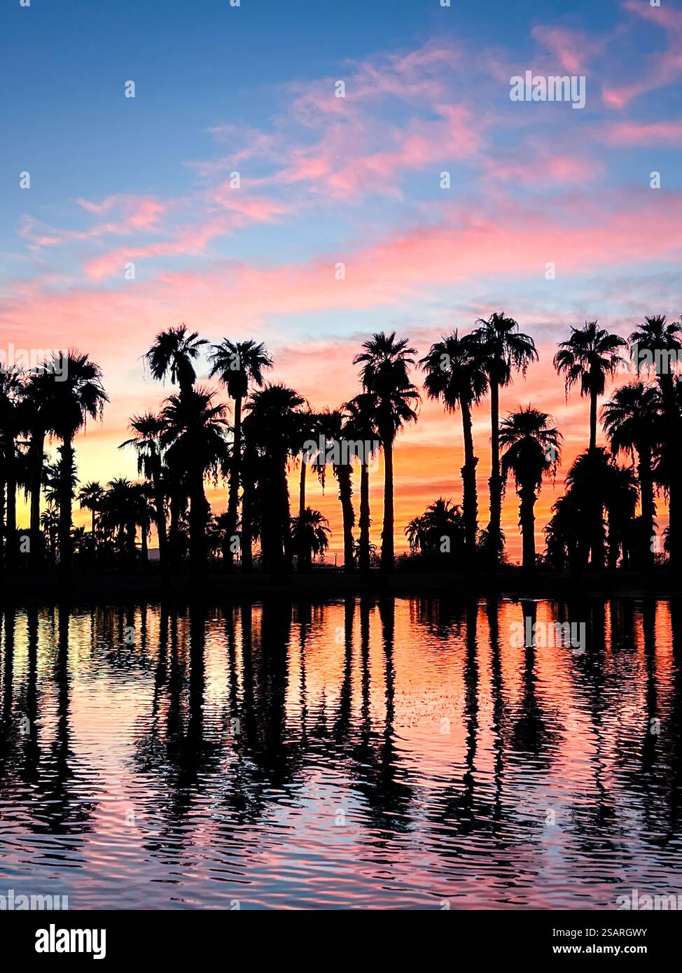 A stunning sunset reflecting off the ponds, framed by the iconic palm ...