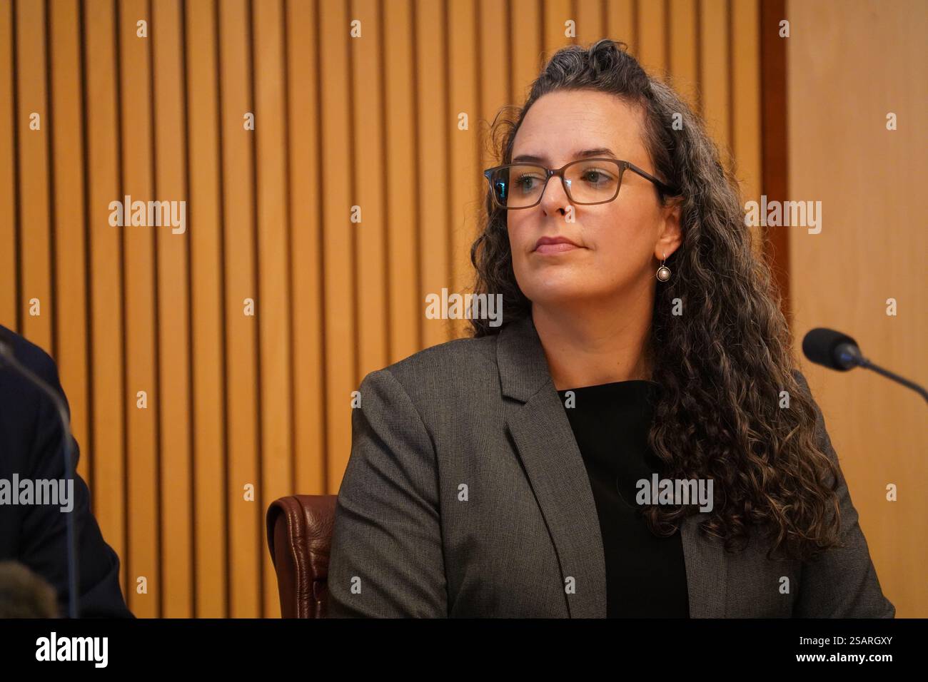 Canberra, Australia. 31st Jan, 2025. Deputy Electoral Commissioner Kath ...