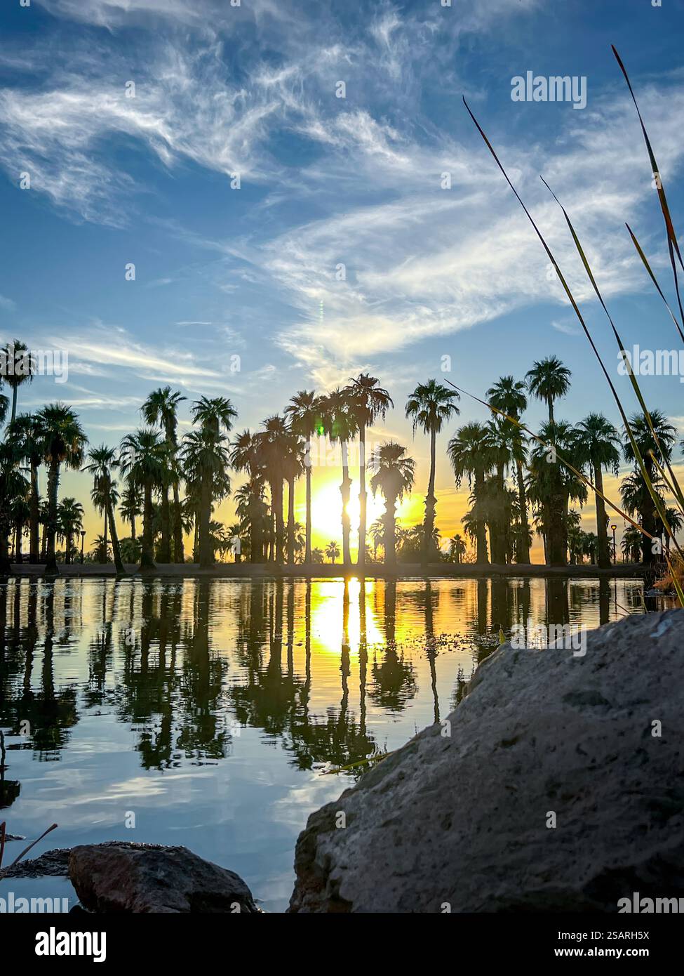 A stunning sunset reflecting off the ponds, framed by the iconic palm ...