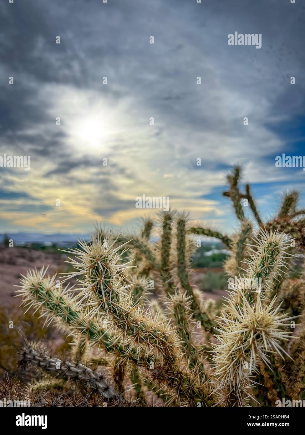 Usa arizona phoenix desert hi-res stock photography and images - Alamy