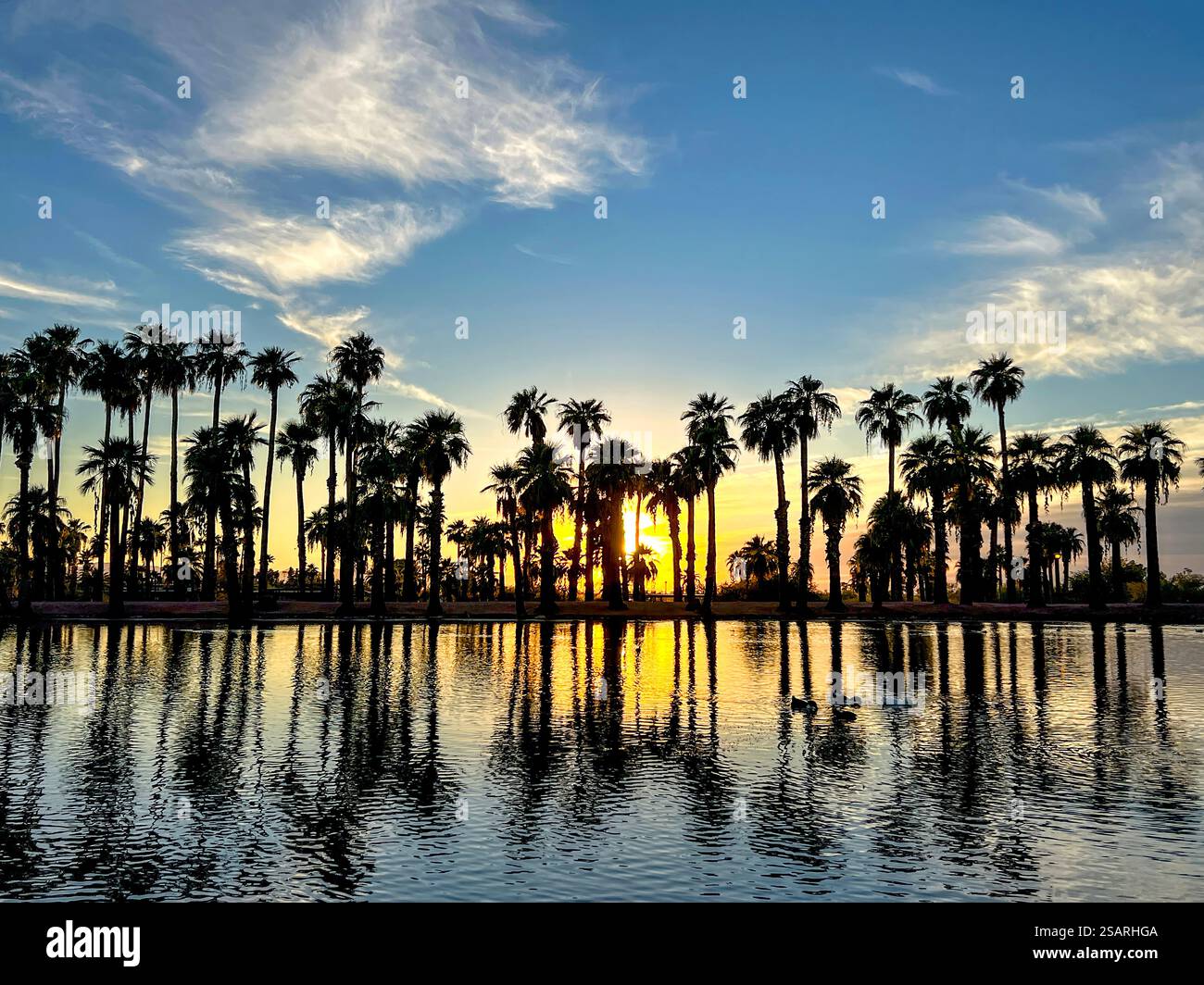 A stunning sunset reflecting off the ponds, framed by the iconic palm ...