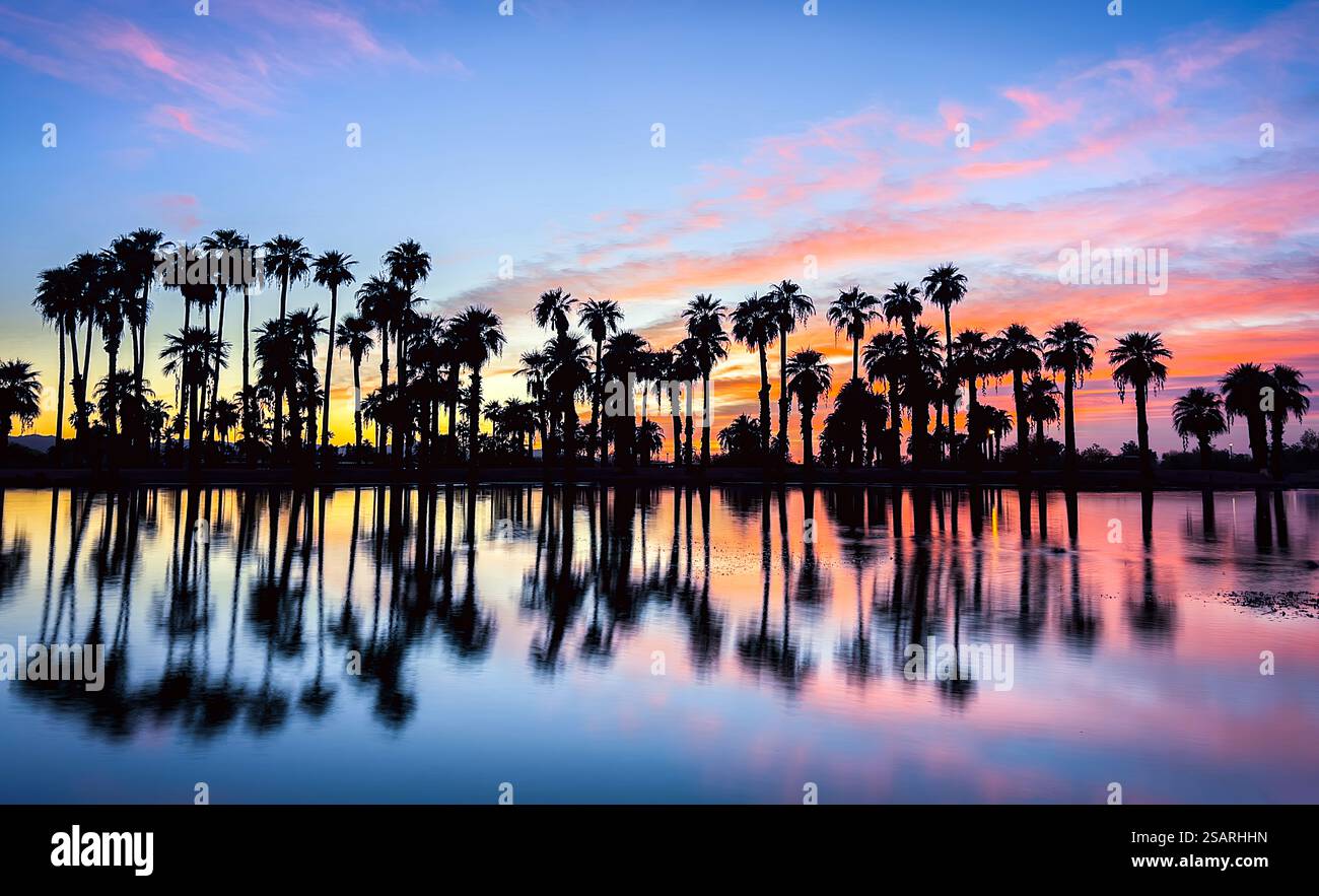 A stunning sunset reflecting off the ponds, framed by the iconic palm ...