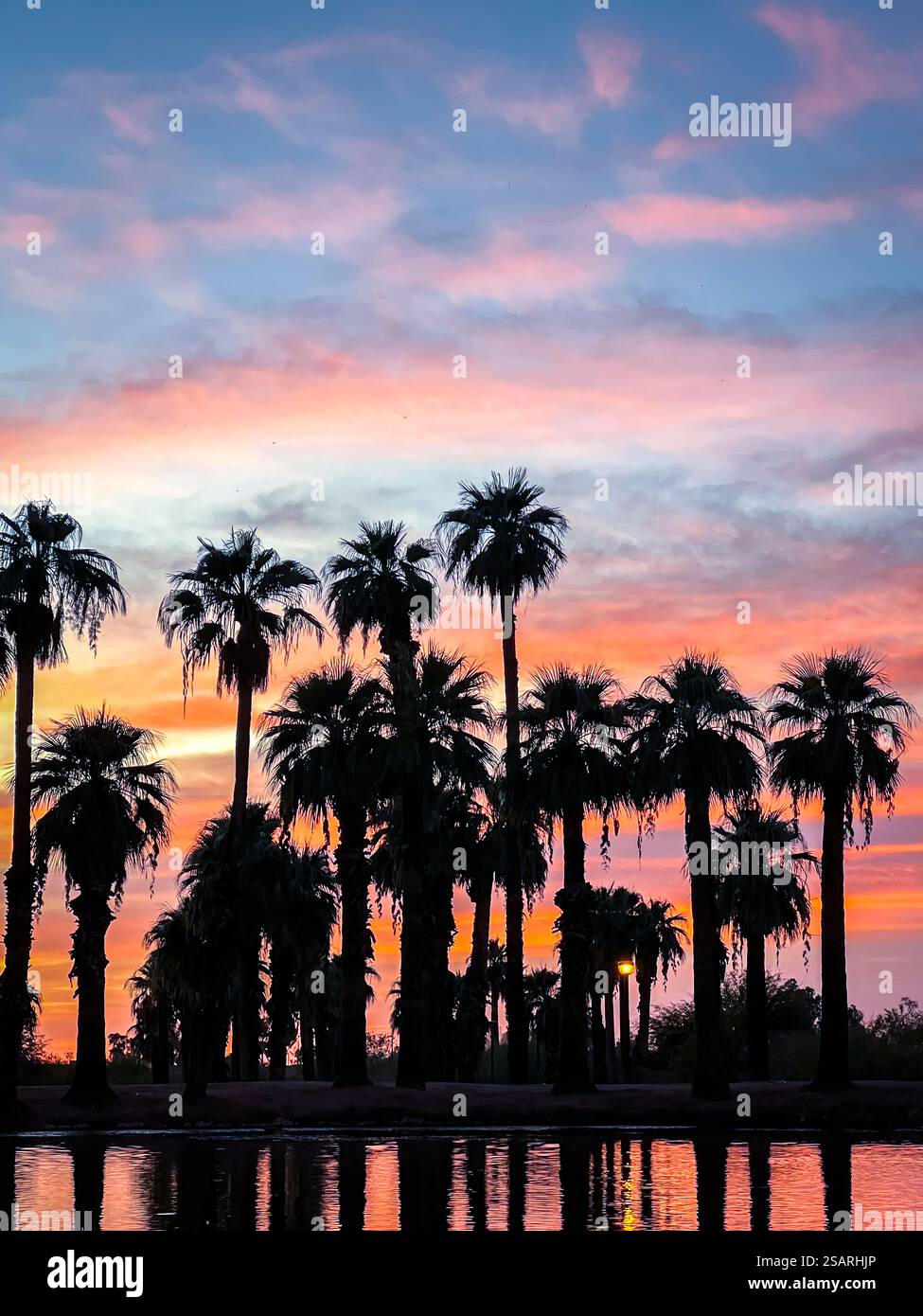 A stunning sunset reflecting off the ponds, framed by the iconic palm ...