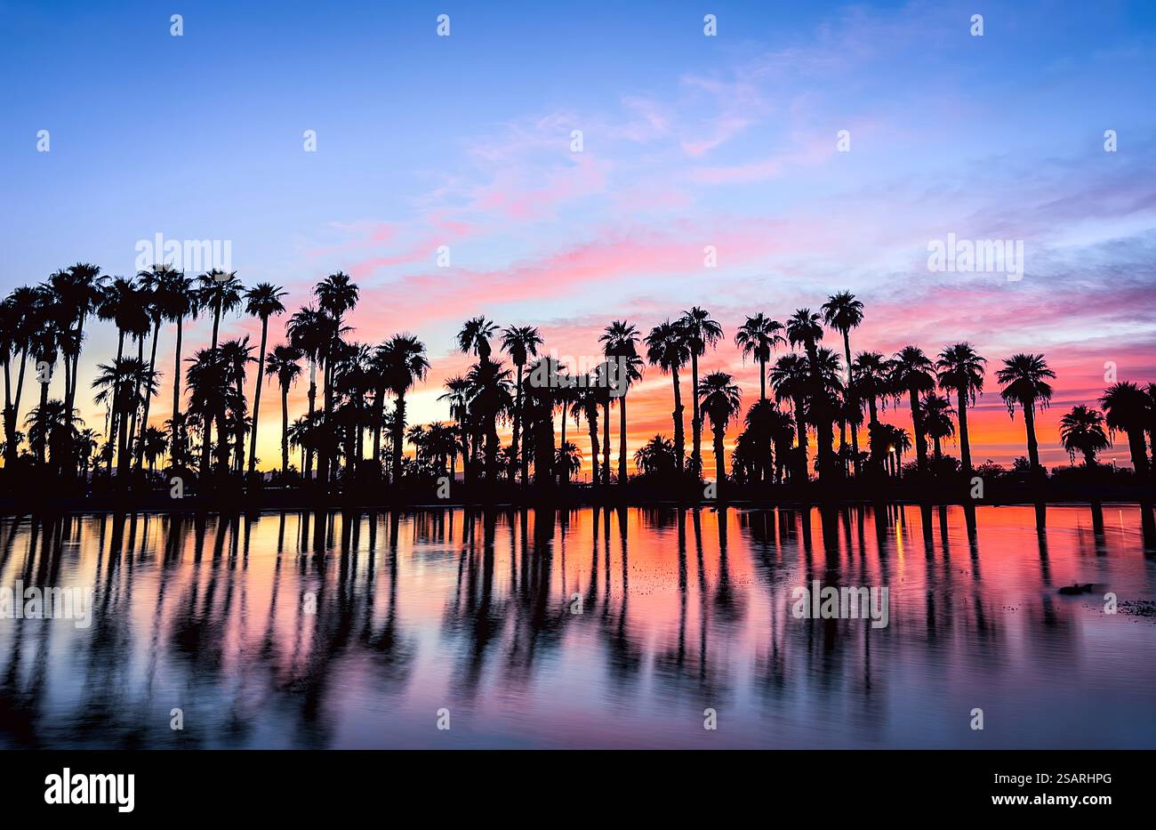 A stunning sunset reflecting off the ponds, framed by the iconic palm ...