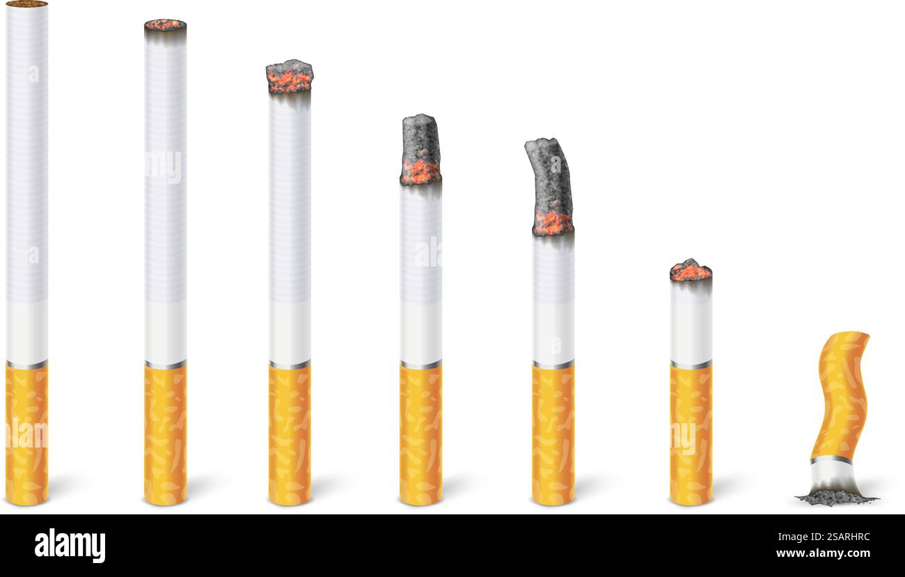 Cigarette burn stages. Tobacco burning process from new cigarette to ...