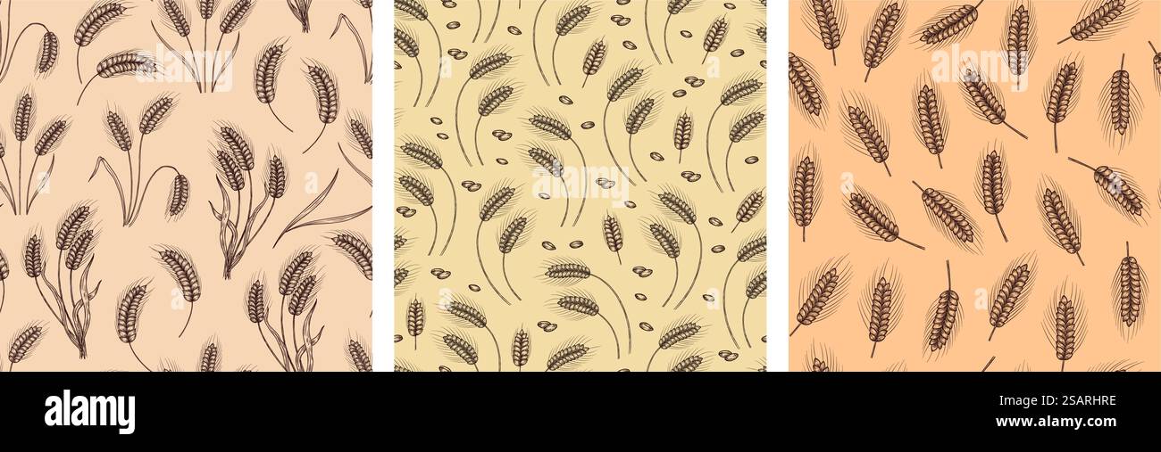 Hand drawn wheat seamless pattern. Wheat ear and grain motifs for ...