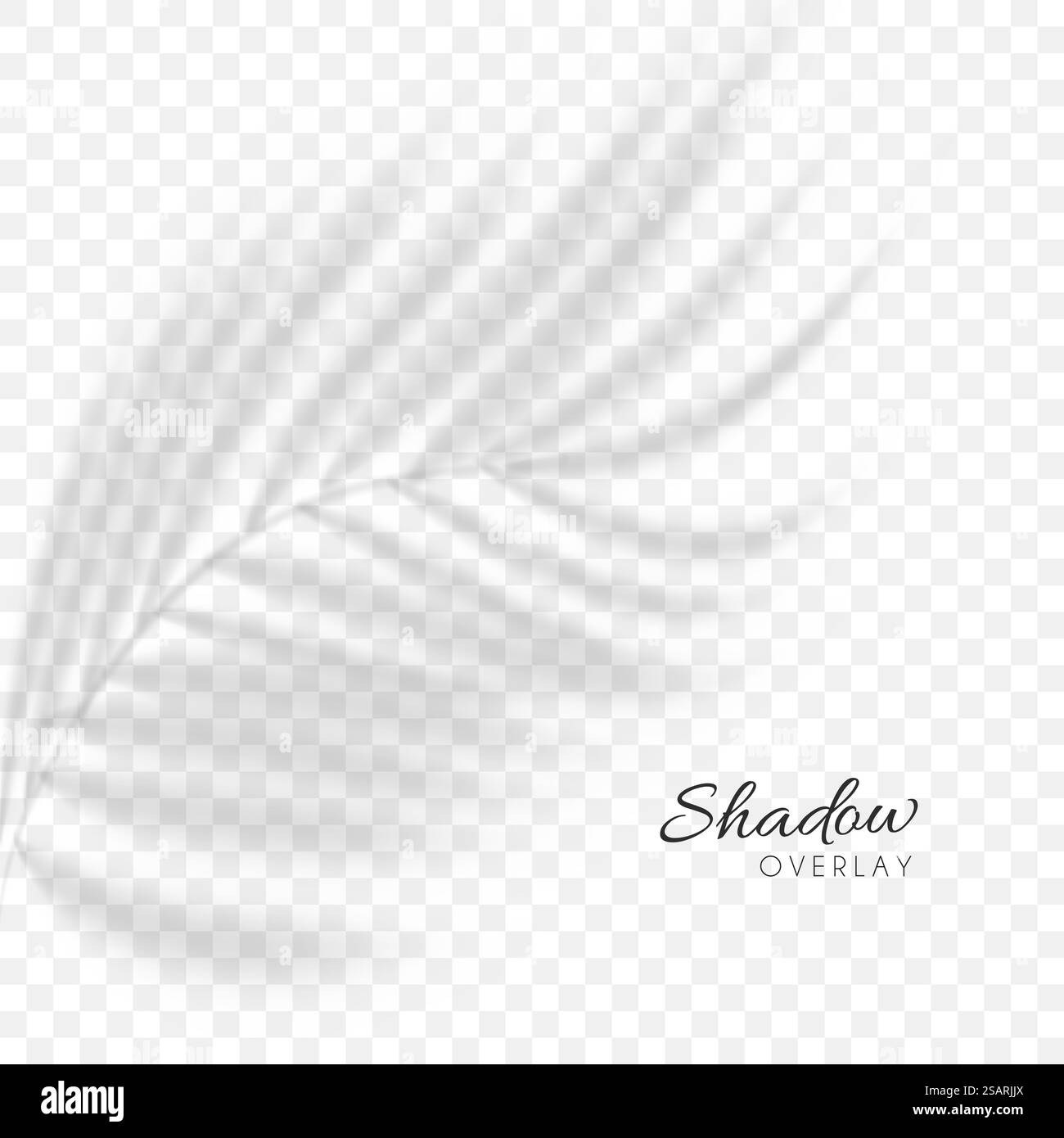 Palm shadow on empty Stock Vector Images - Alamy