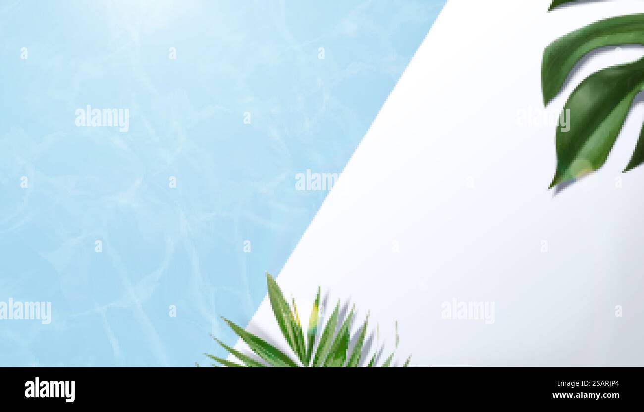 3d illustration of summer background for product display. Top view of beautiful swimming pool ...