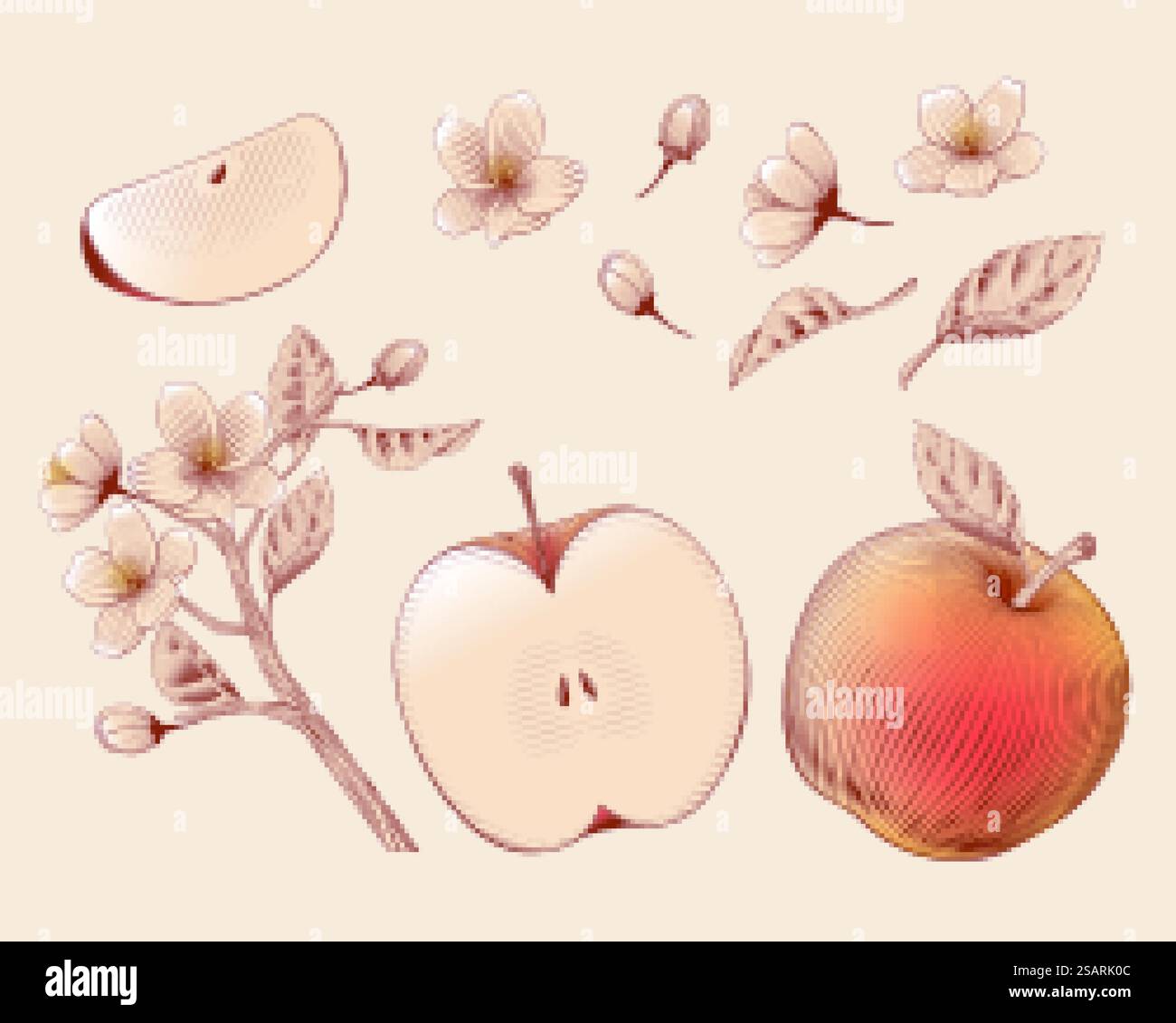 Vintage elegant apple sketching elements, including flowers, tree ...
