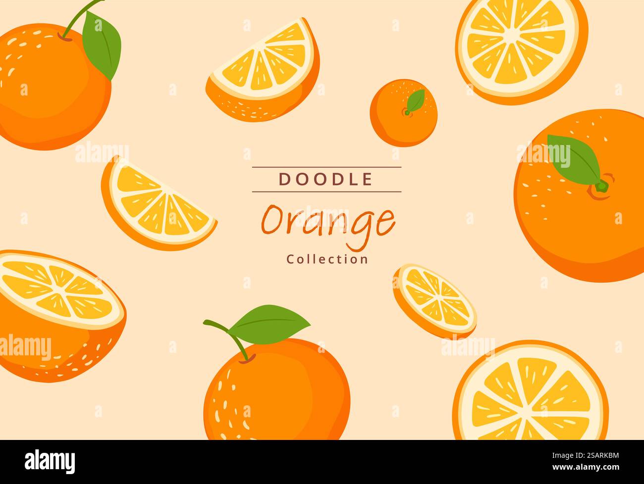 Vector about Hand drawn orange collection Stock Vector Image & Art - Alamy
