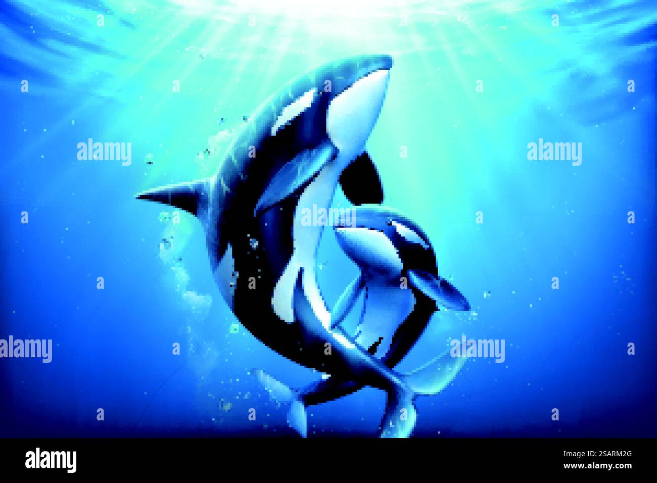 Illustration 3d whale Stock Vector Images - Alamy