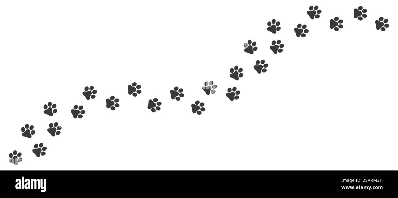 Dog paws vector trail. Foot print of cat. Animal diagonal track for t-shirt, background, pattern ...