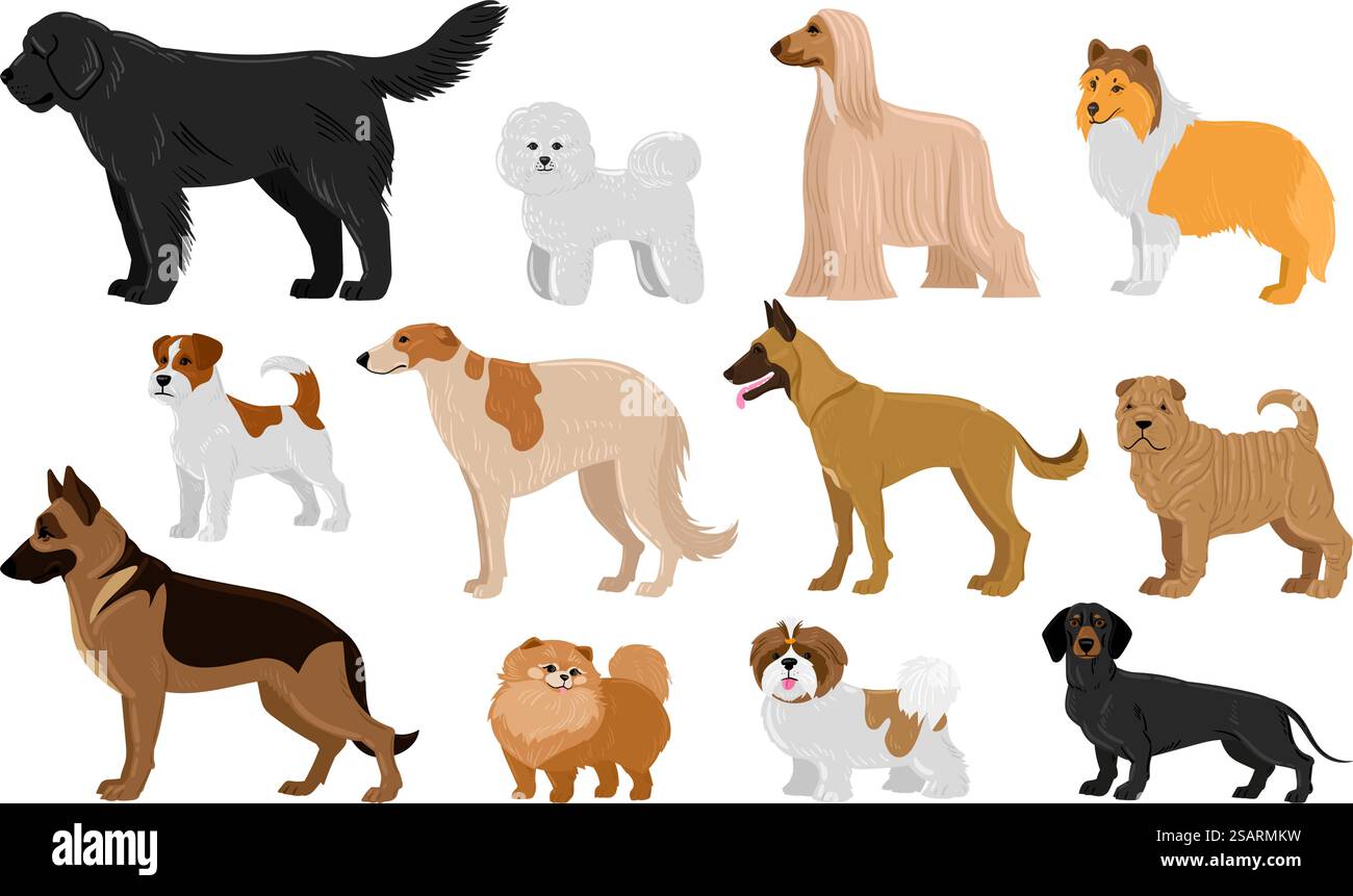 Cartoon puppy dogs breeds pets cute characters. Dachshund, shepherd ...