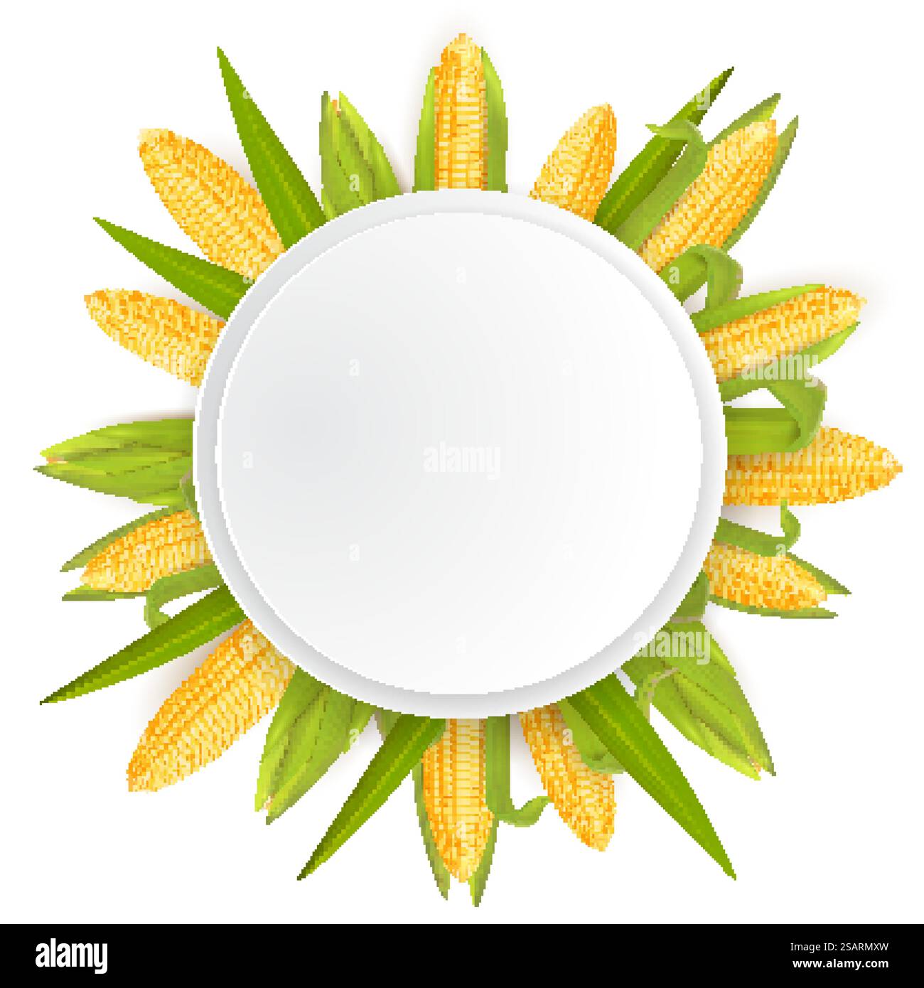 Corn frame template, vector realistic illustration. Circle label for ...