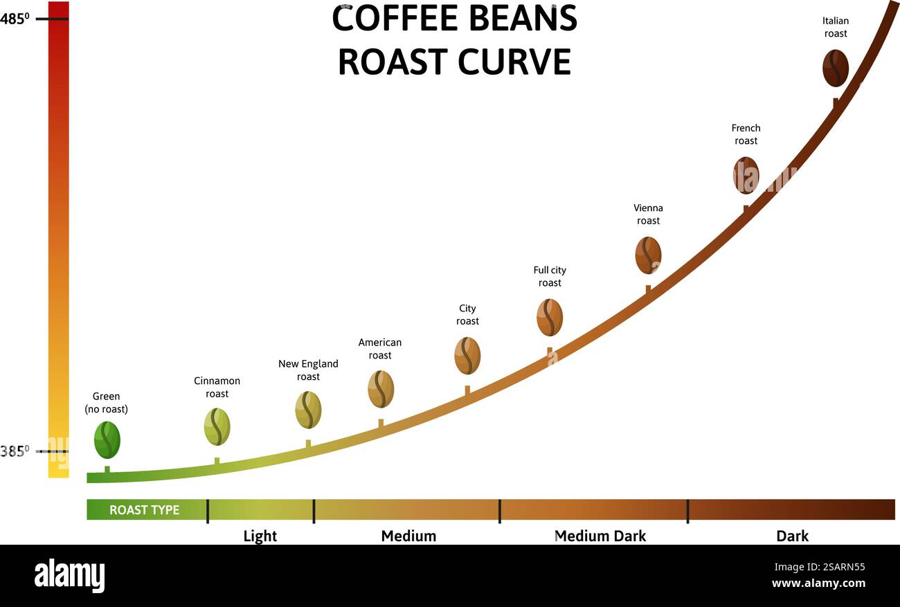 Coffee roasting levels. Roast curve, optimal temperature for roasting ...