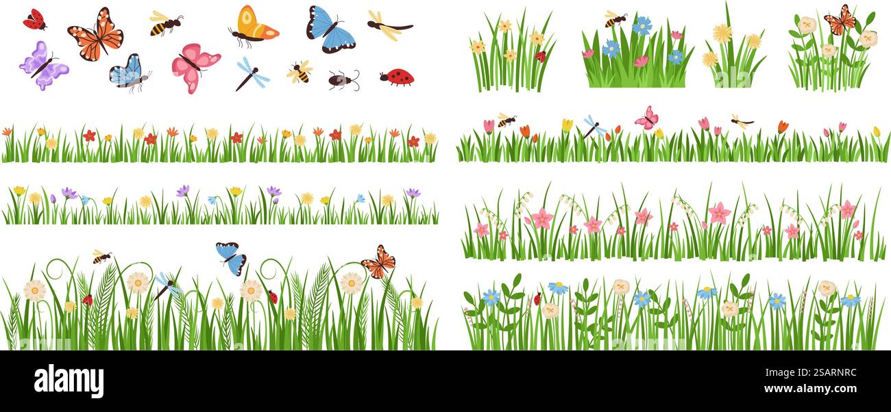 Early spring garden flowers. Forest and garden blooming plants with ...