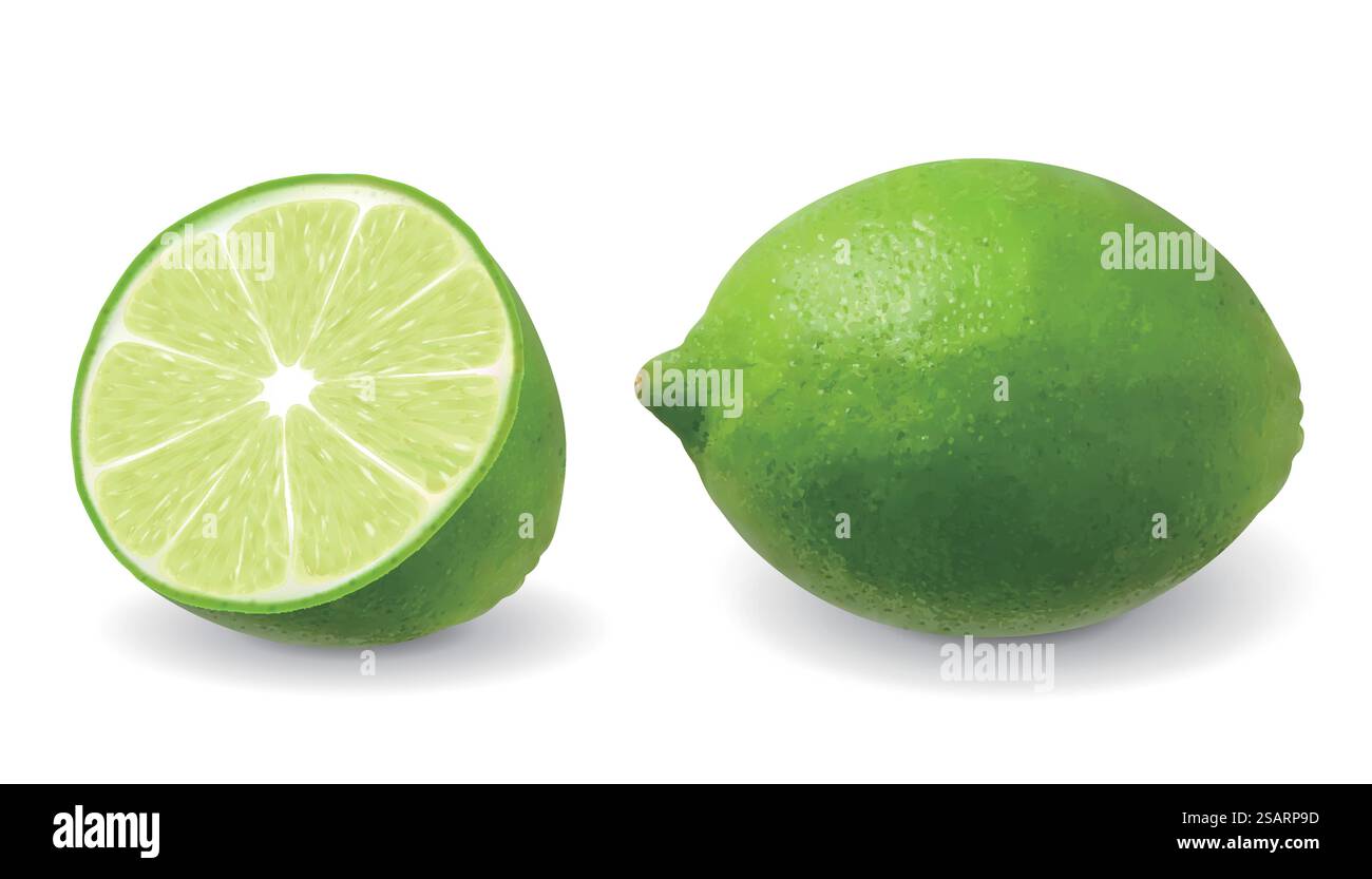 Lemon with its section in 3d illustration on white background. Lemon ...