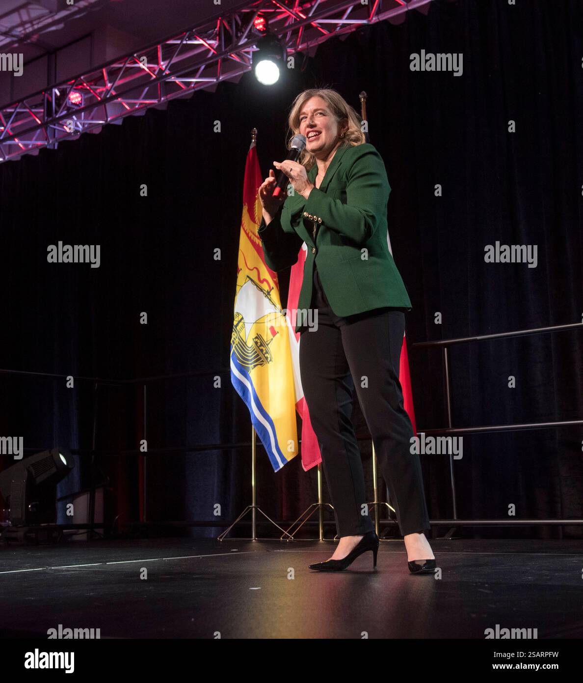 Fredericton, Canada. 30th Jan, 2025. New Brunswick Premier Susan Holt ...