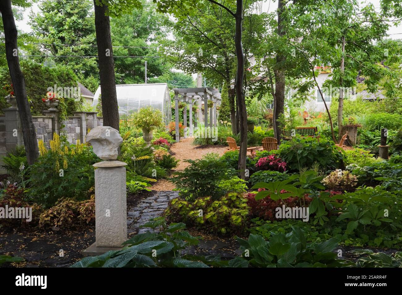 Shade garden underplanted with Hosta, Solenostemon - Coleus, Cimicifuga ...