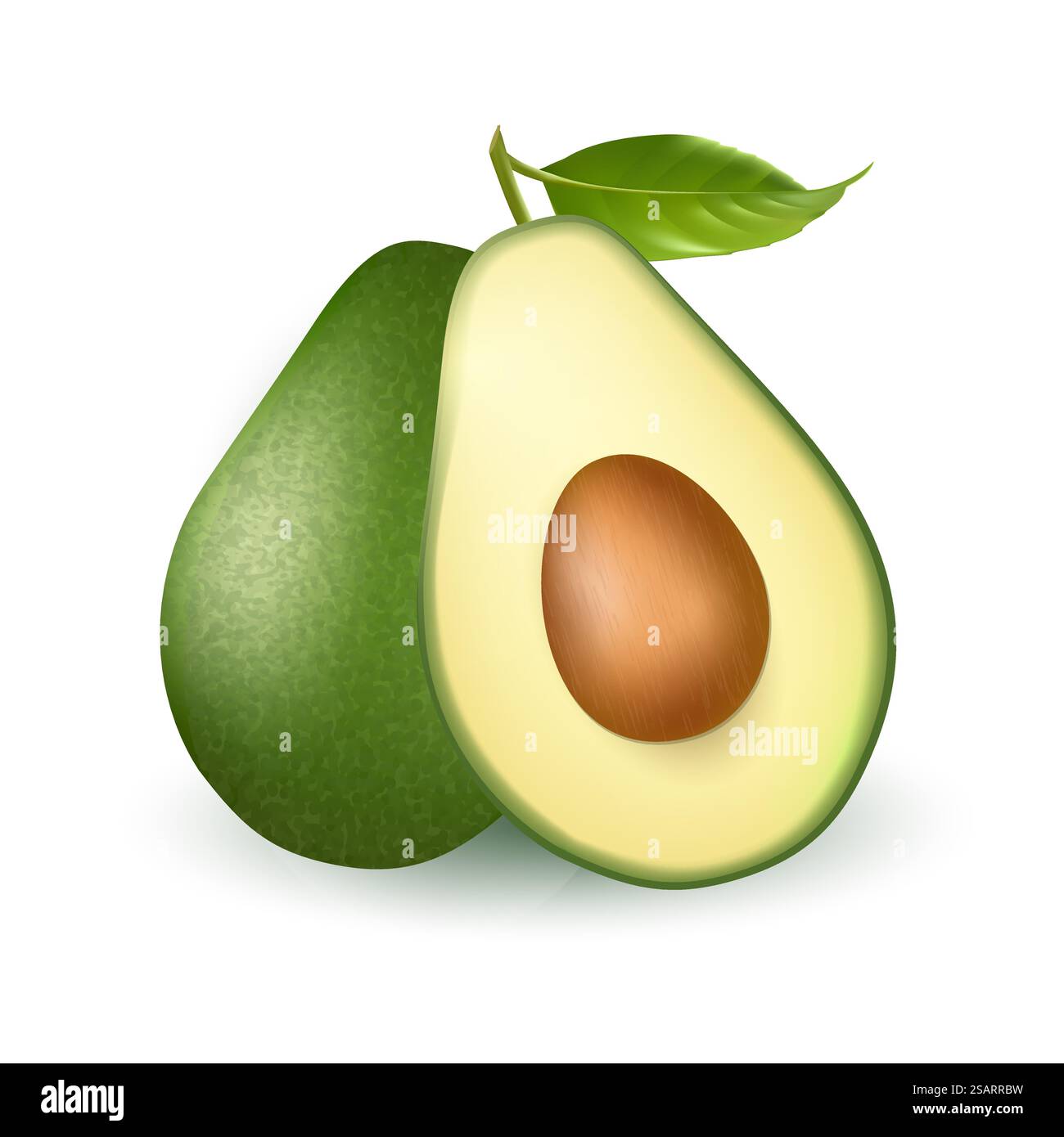 Vector realistic fresh fruit avocado isolated on white background ...