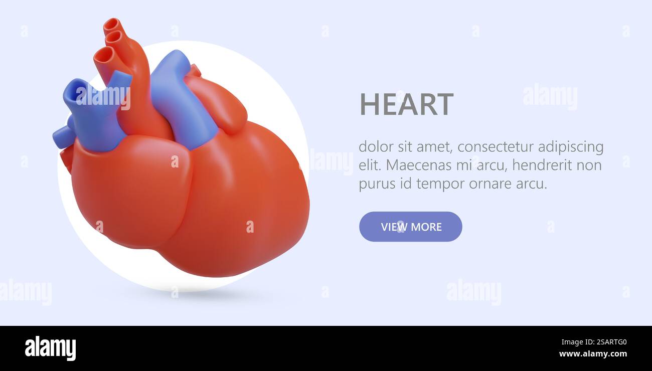 Realistic human heart. Services of cardiologist. Cardio center ...