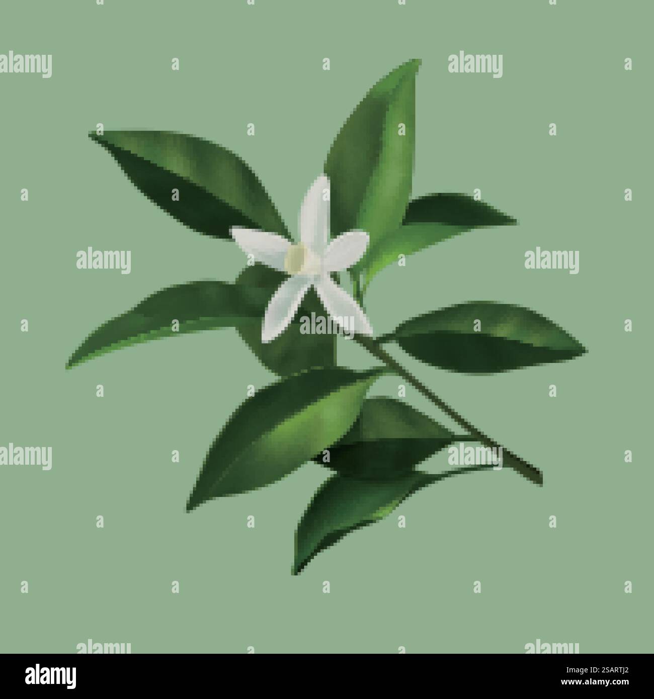 Graceful nature Stock Vector Images - Alamy