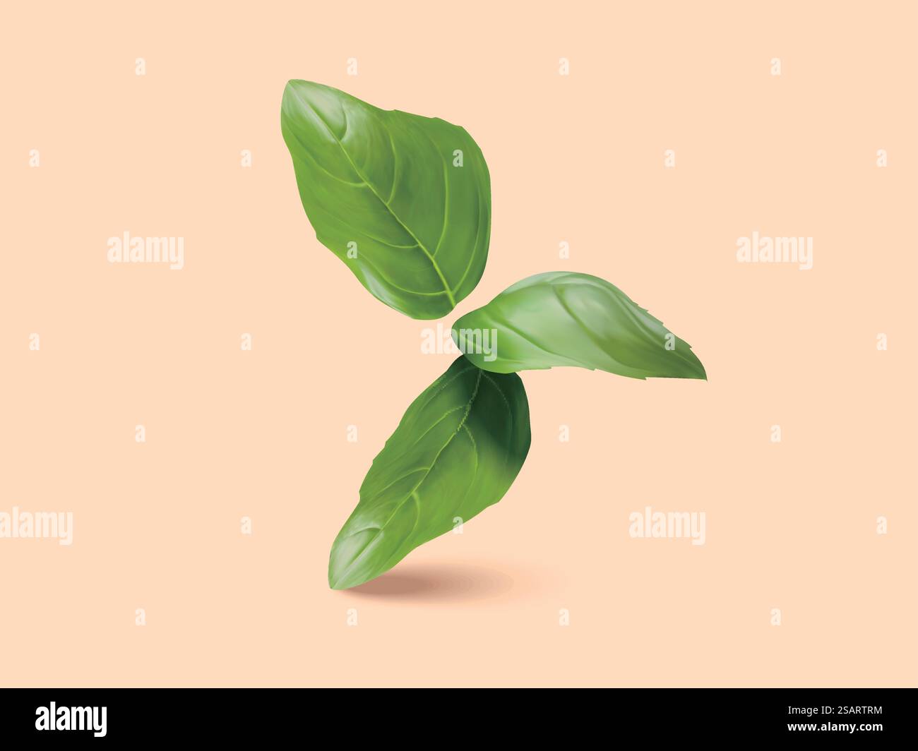 Green leaves leaves Stock Vector Images - Alamy