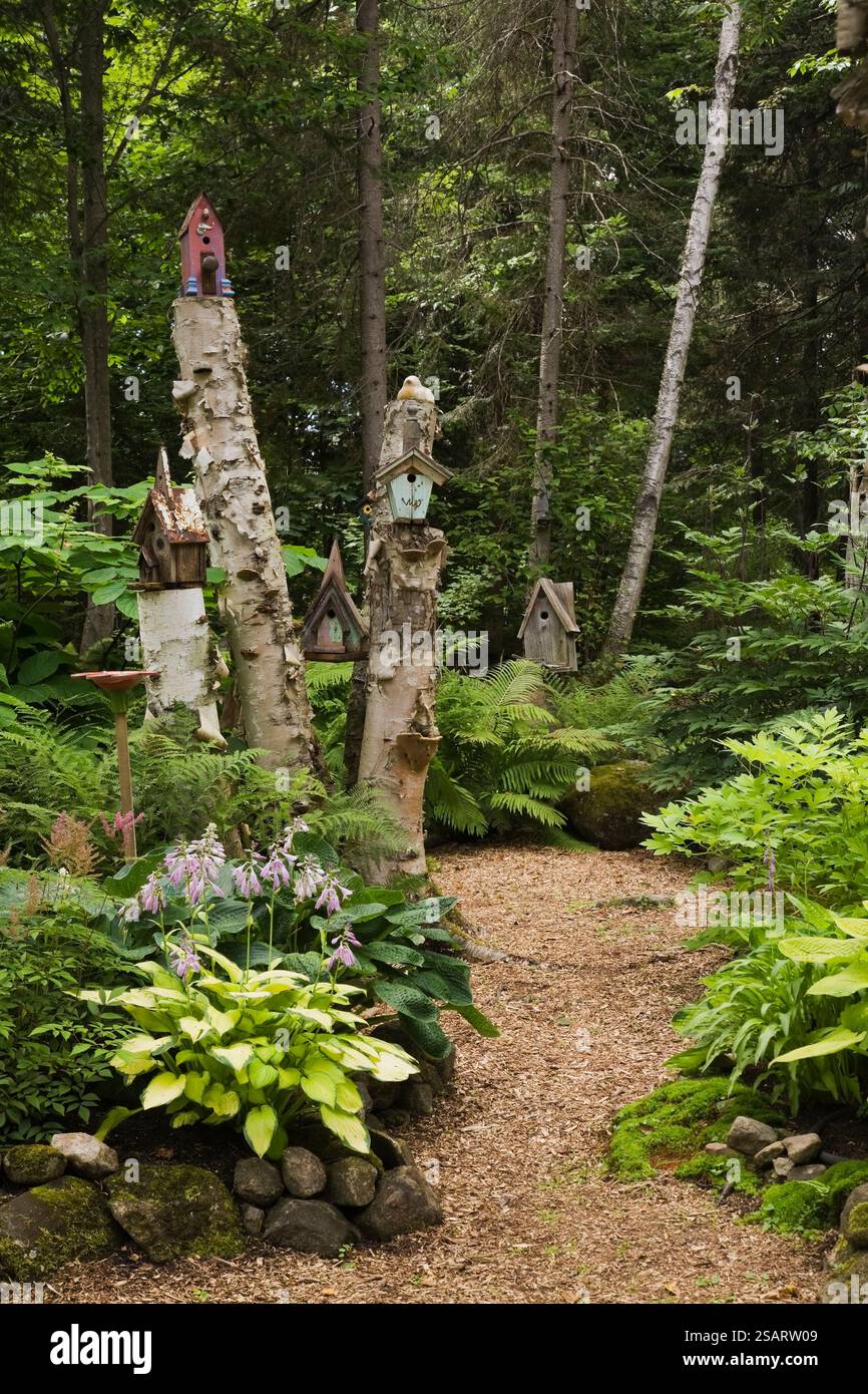 Cedar mulch path leading to mixed border in woodland with birdhouses on ...