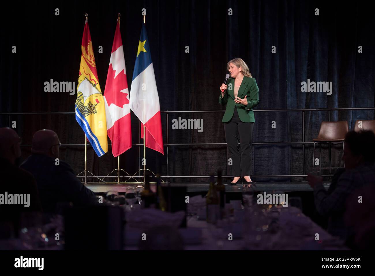 Fredericton, Canada. 30th Jan, 2025. New Brunswick Premier Susan Holt ...