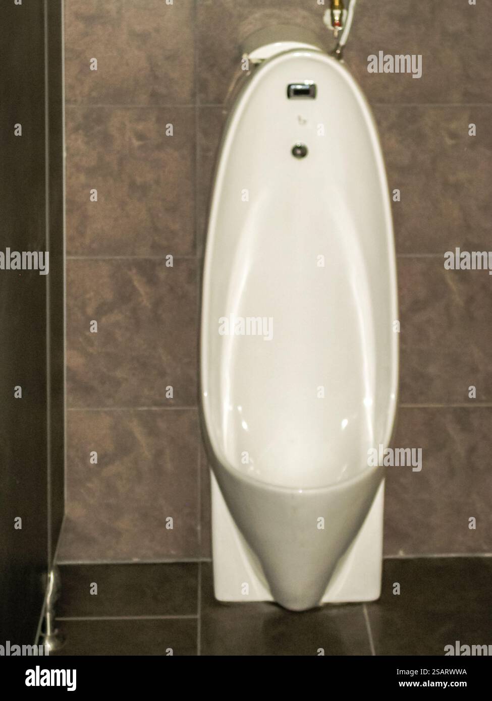 A white urinal is sitting in a bathroom. The urinal is in a corner of ...