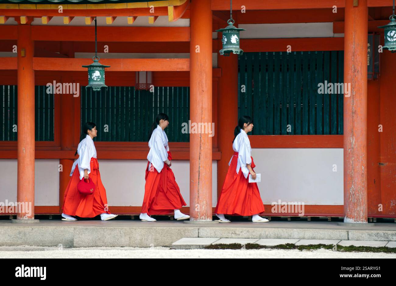 Shrine maiden ("miko") dressed in traditional red hakama and white kosode walking under a ...