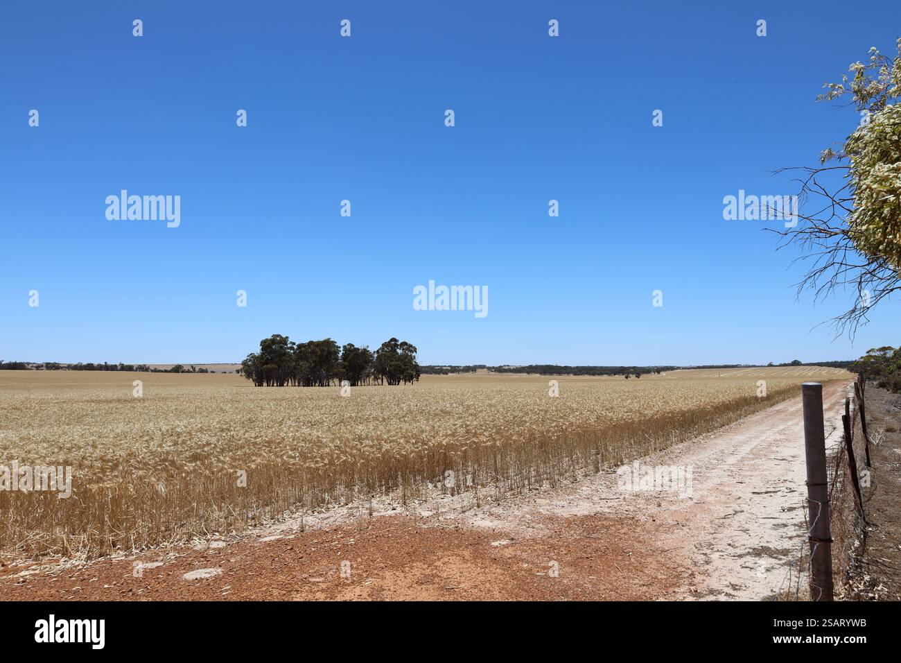 Dark desert landscape sunset rolling hi-res stock photography and ...