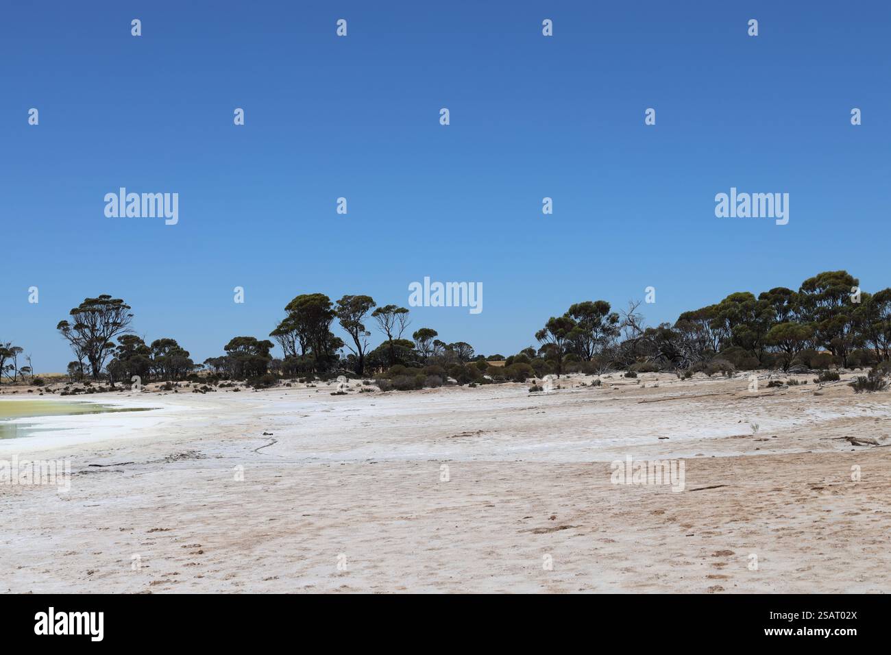 wide-angle landscape mixed desert sand and alkaline salts on the ...
