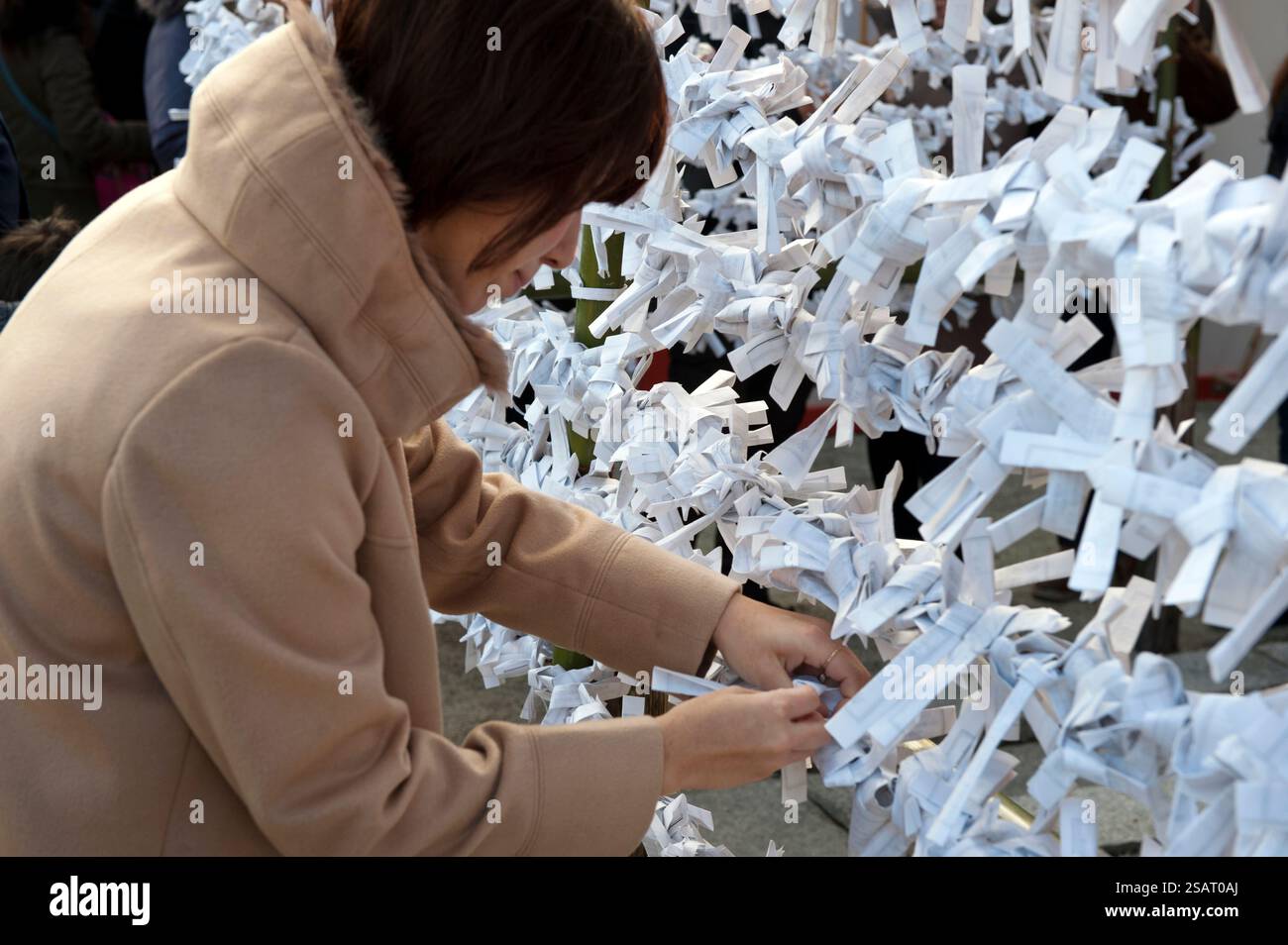 People tying their "omikuji" (good or bad luck paper oracle) to a ...