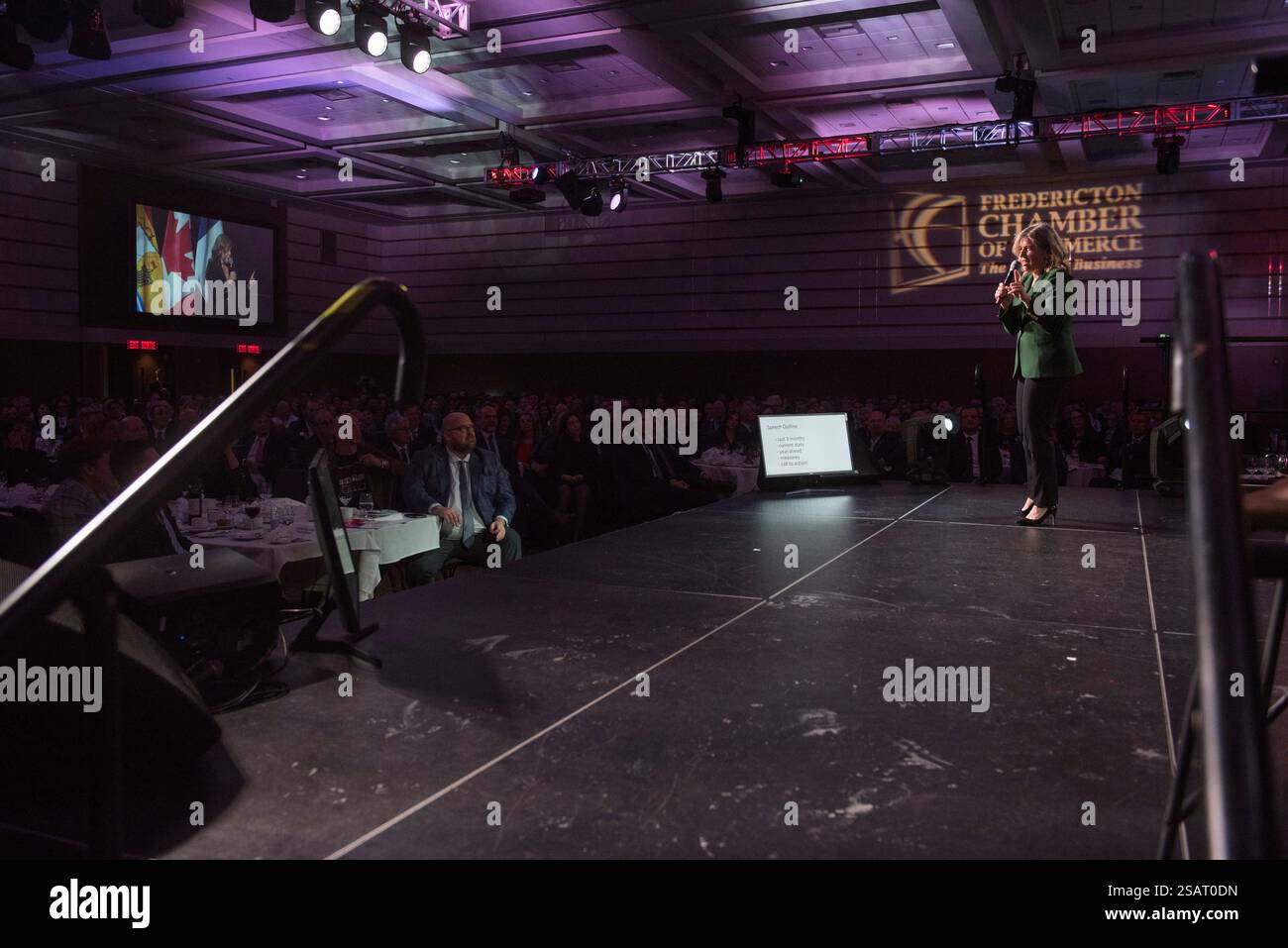 Fredericton, Canada. 30th Jan, 2025. New Brunswick Premier Susan Holt ...