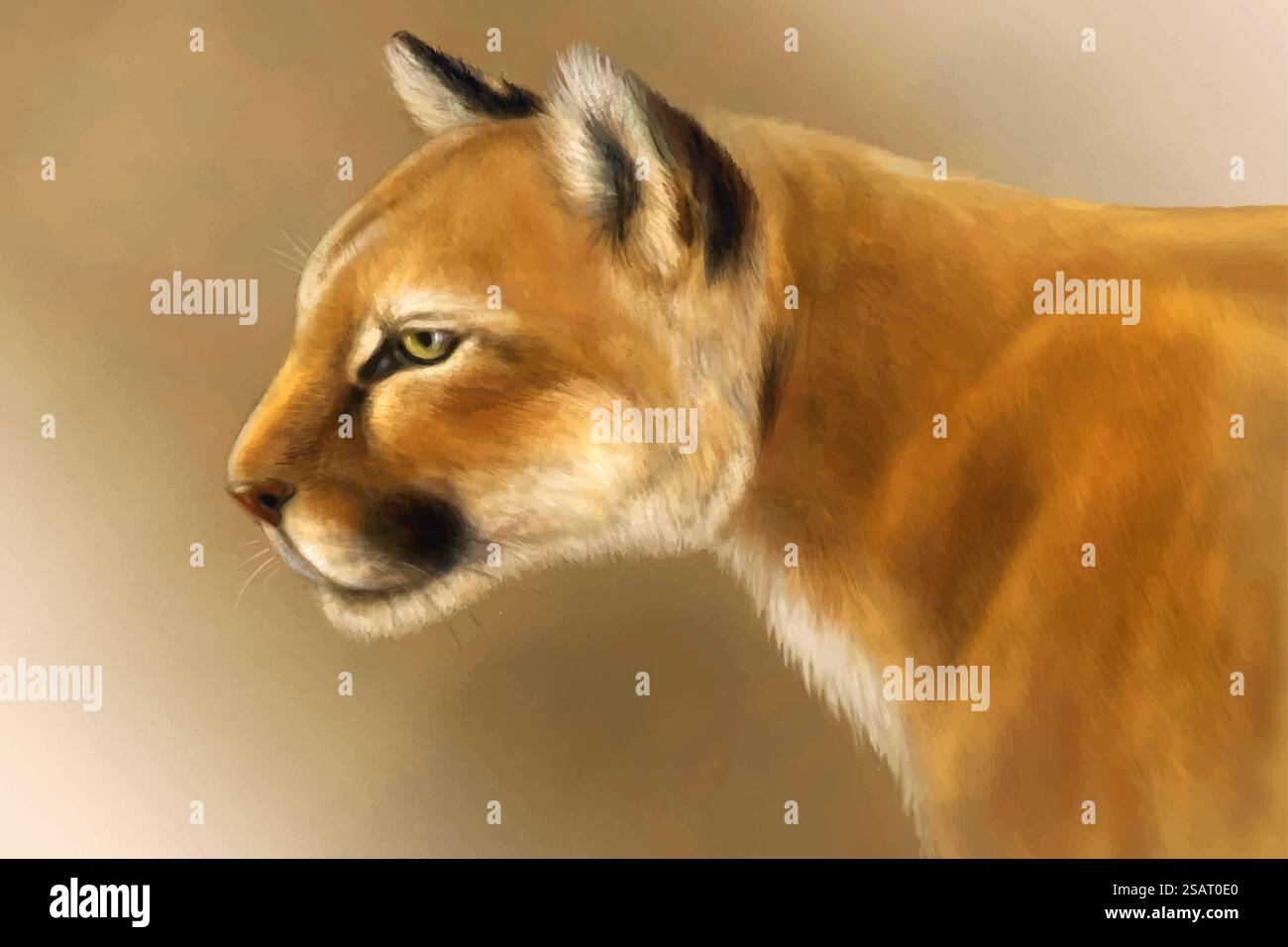 Vector puma on brown vintage background. Realistic cougar head ...